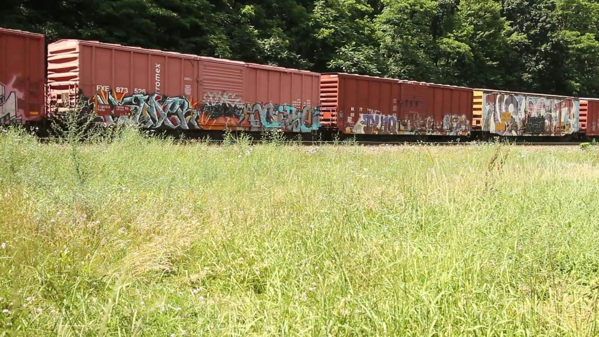 A Cargo Train With Graffiti Art On Its Cargo Container Traveling On A ...