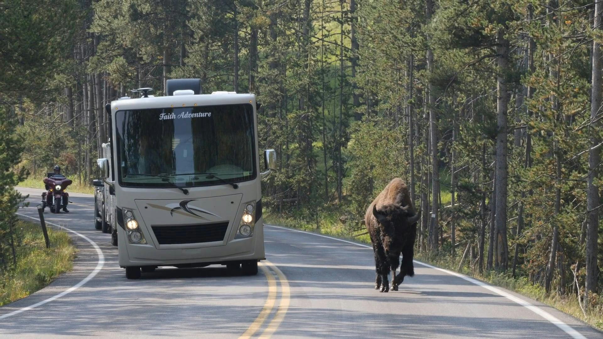 Bus Animated Videos, Download The BEST Free 4k Stock Video Footage ...