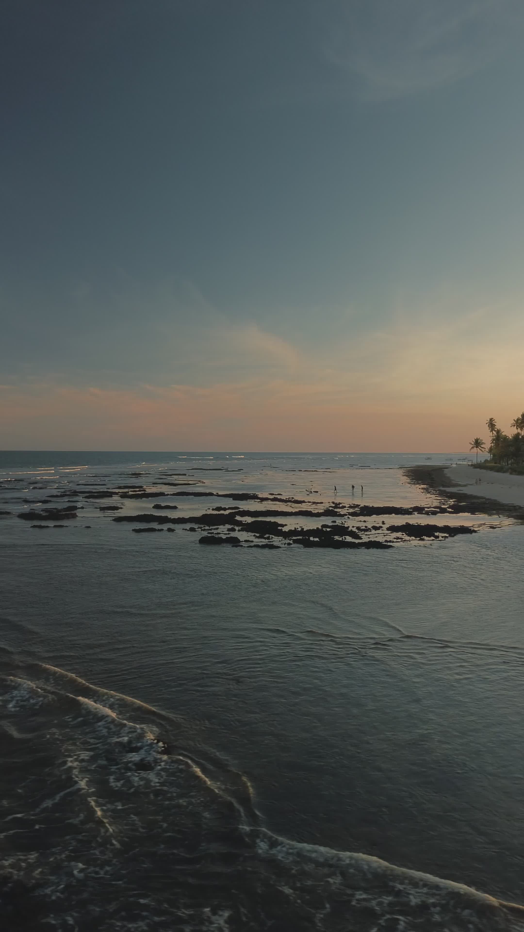 Scenic Drone View of Tropical Beach at Sunset Free Stock Video Footage ...
