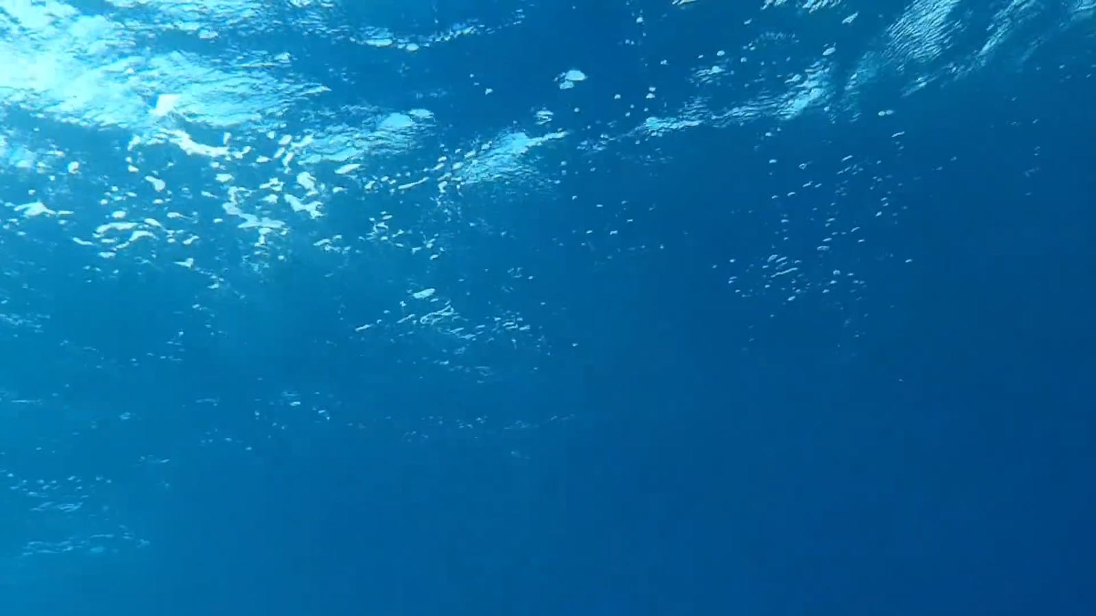 Underwater Videos, Download The BEST Free 4k Stock Video Footage ...