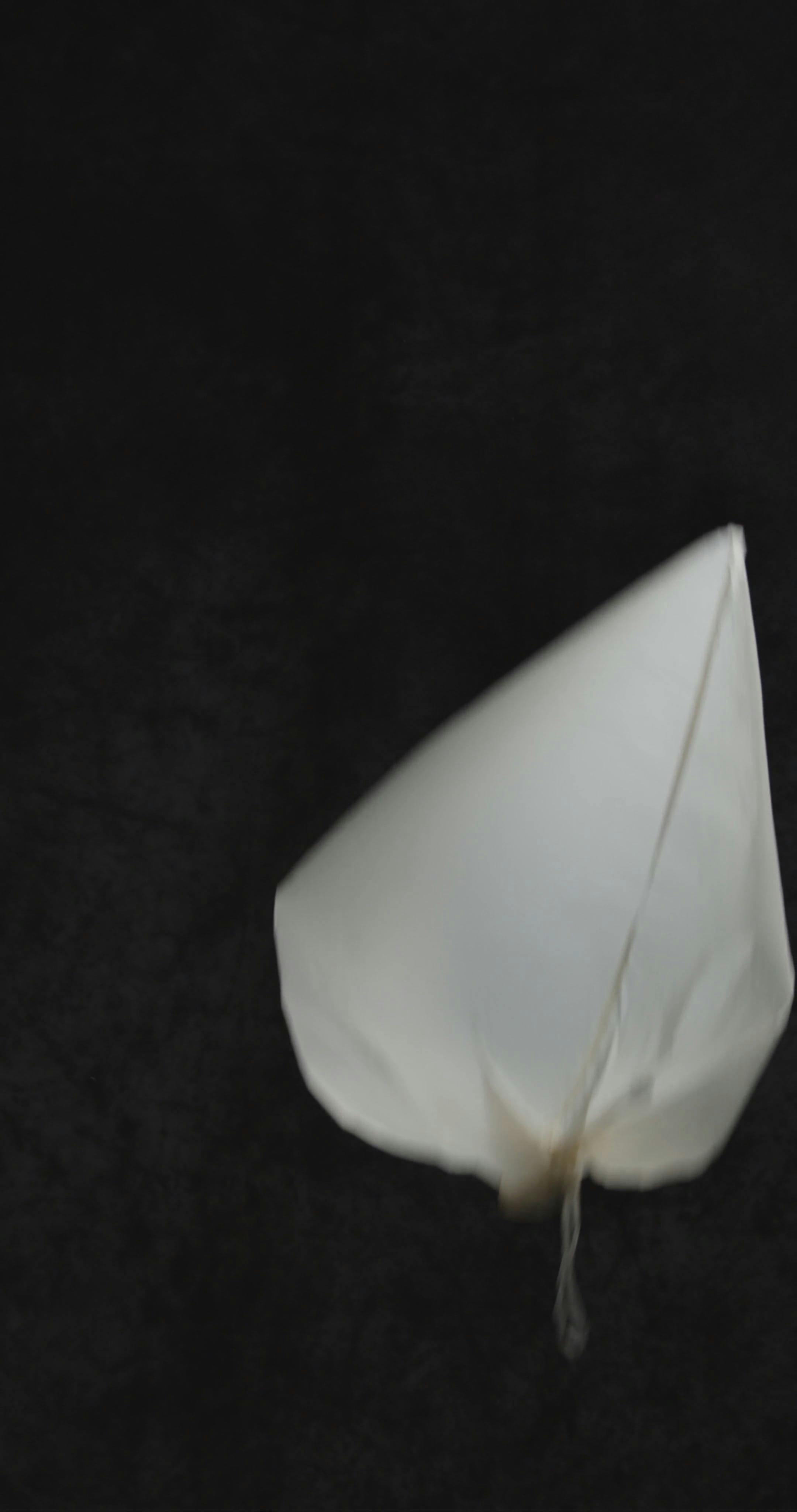 Disposable Effect Videos, Download The BEST Free 4k Stock Video Footage ...