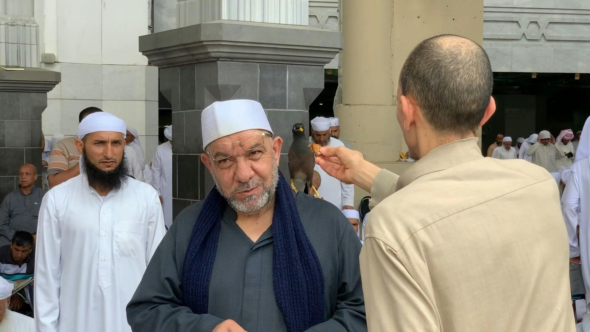 Halal Haram Videos, Download The BEST Free 4k Stock Video Footage ...