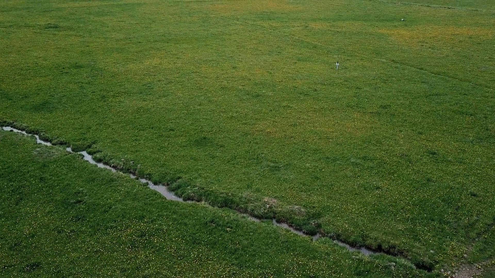 Drone Footage Of A Person Running In The Field Of Grass · Free Stock Video