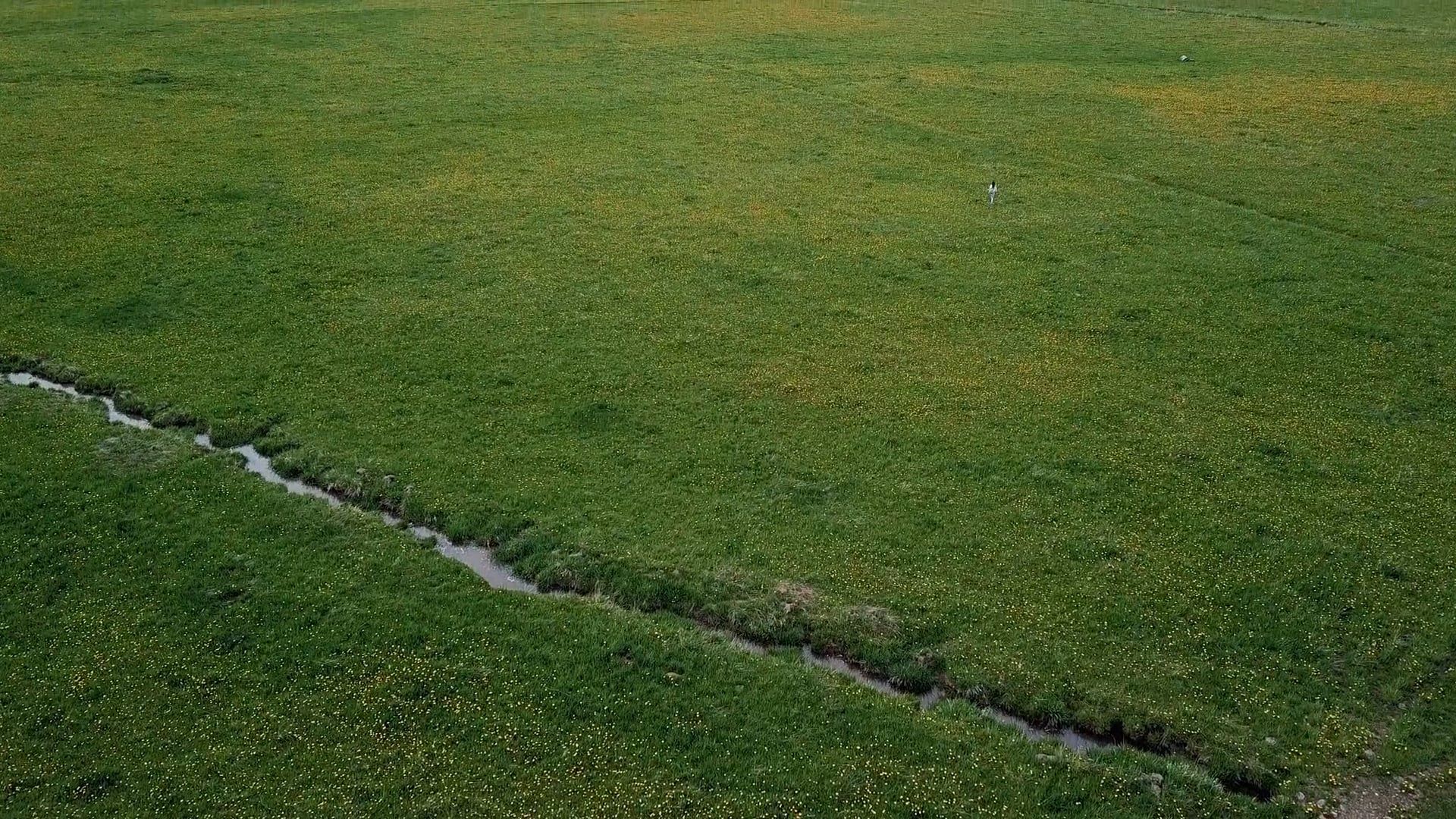 Drone Footage Of A Person Running In The Field Of Grass · Free Stock Video