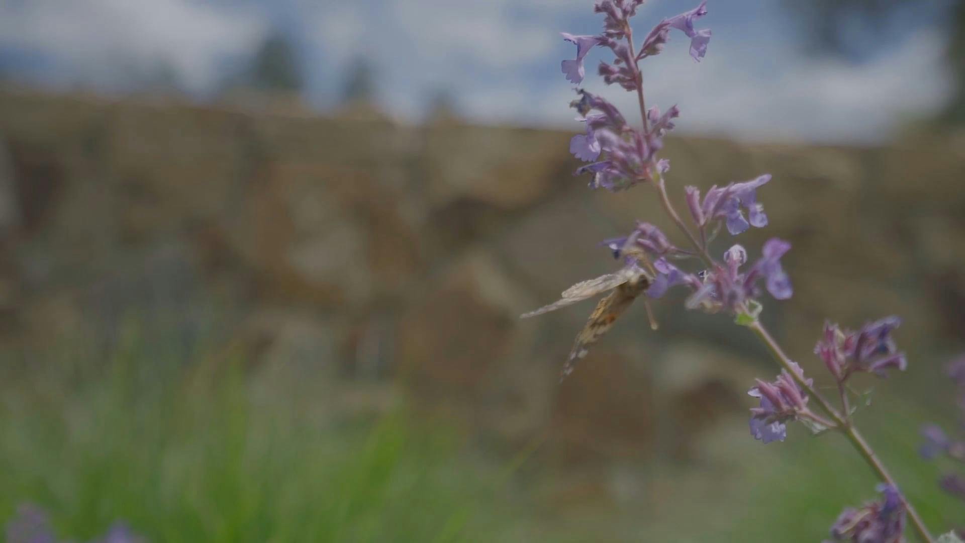 2,026+ Best Free Future Stock Photos & Images · 100% Royalty-Free HD ...