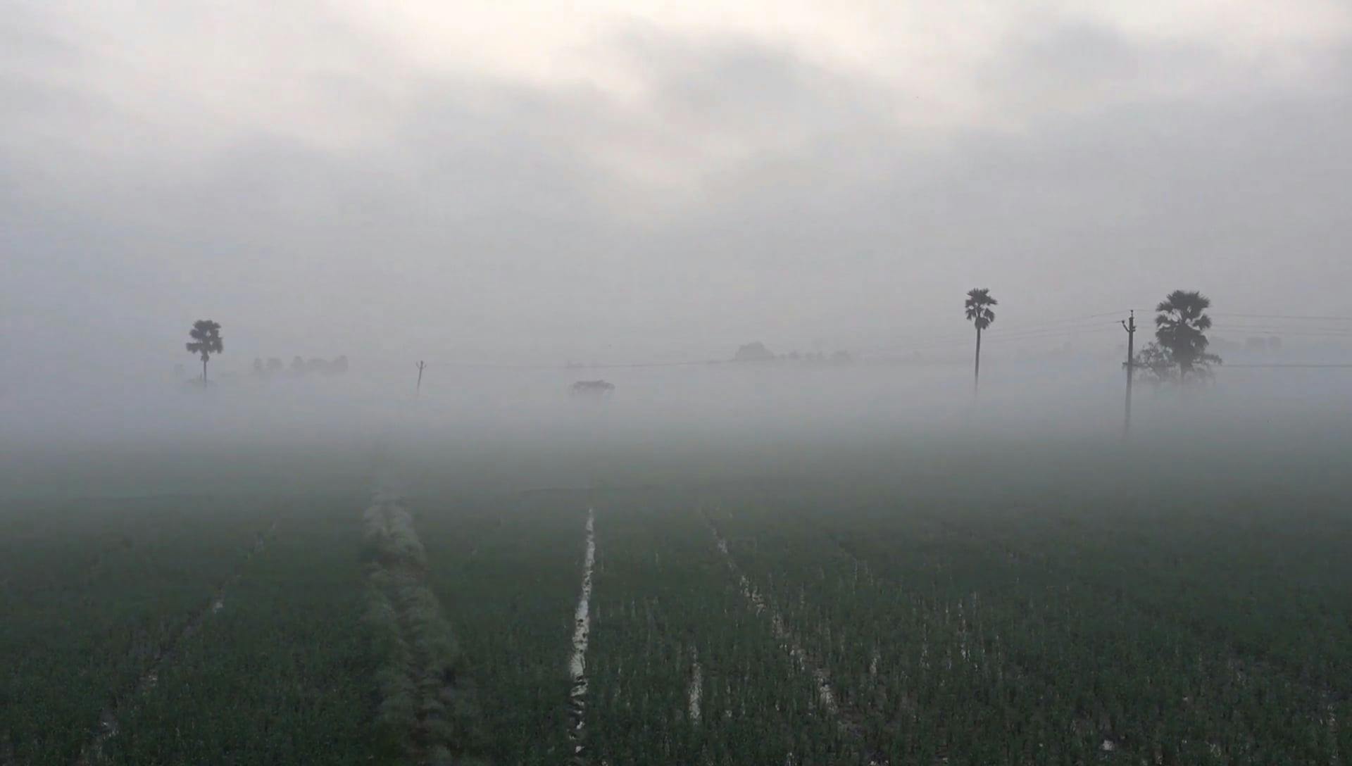 Footage Of The Farm Covered With Fog · Free Stock Video