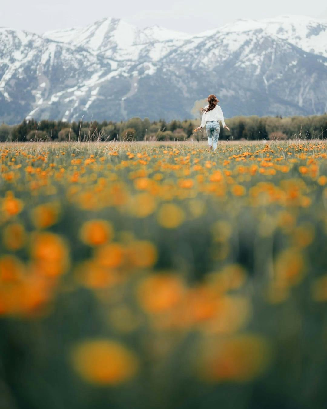 Footage Of A Woman Running In The Field Full Of Flowers · Free Stock Video