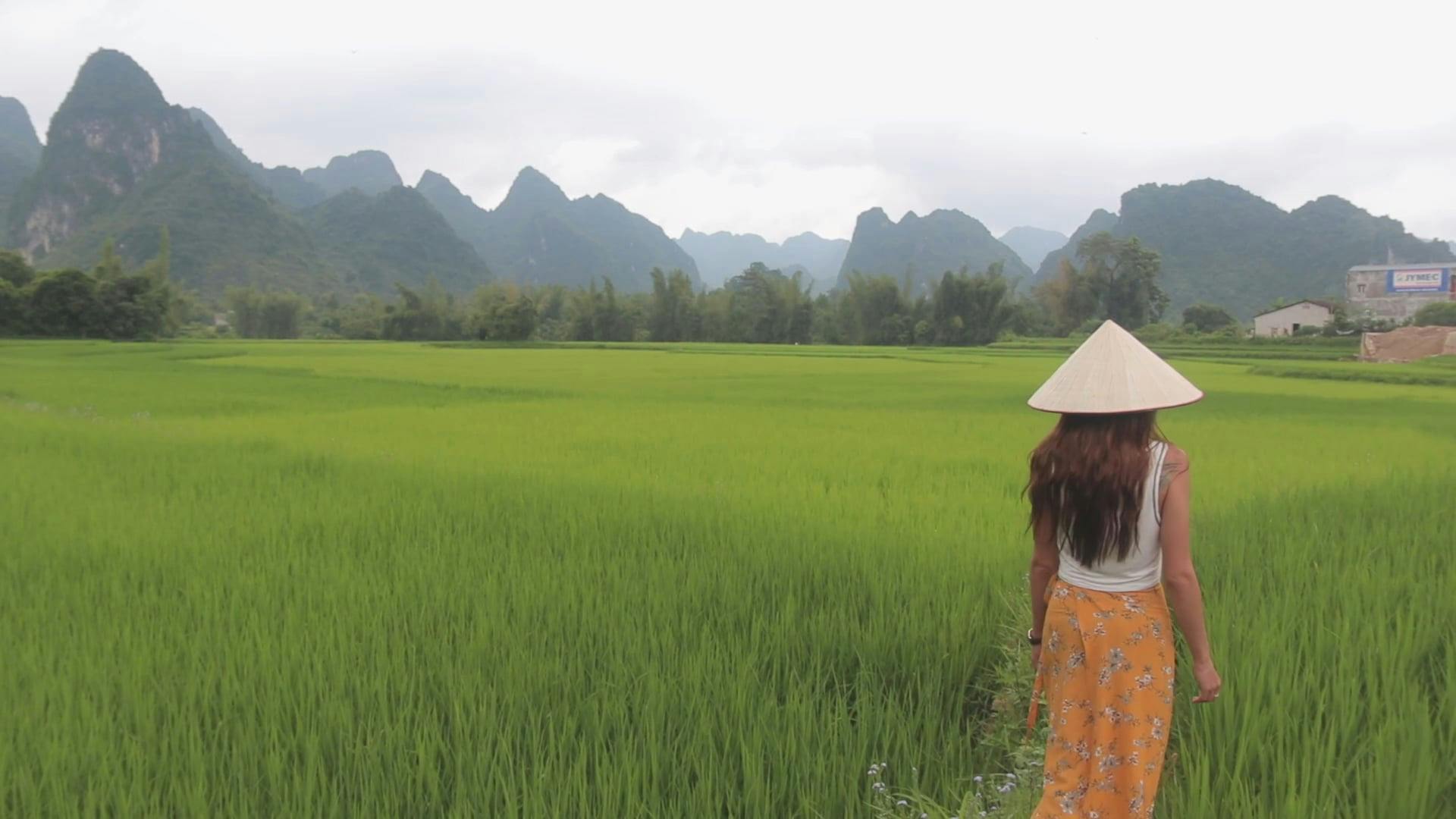 Woman Walking Alone In The Farm · Free Stock Video