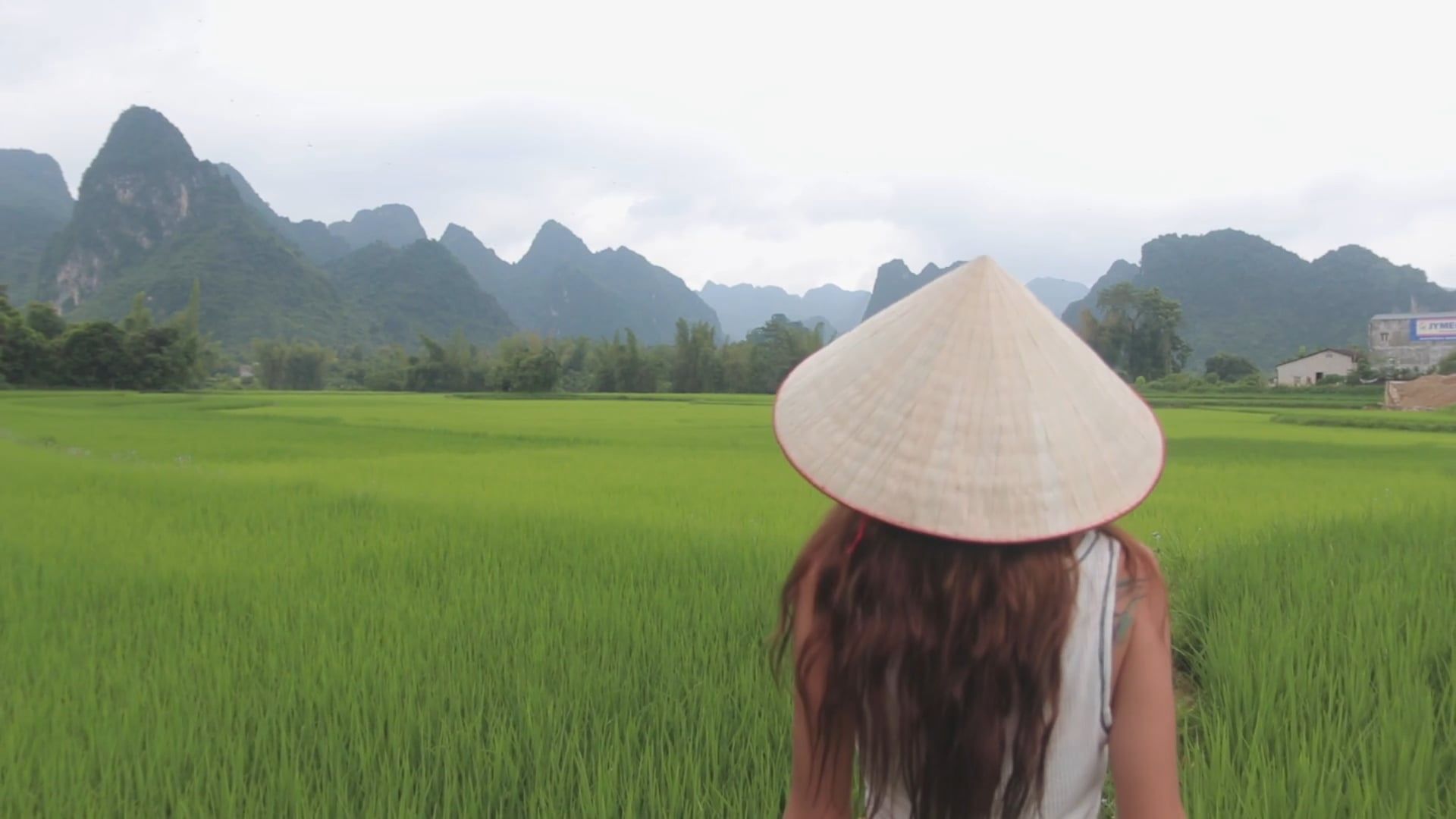 Footage Of The Woman Walking Alone In The Farm · Free Stock Video