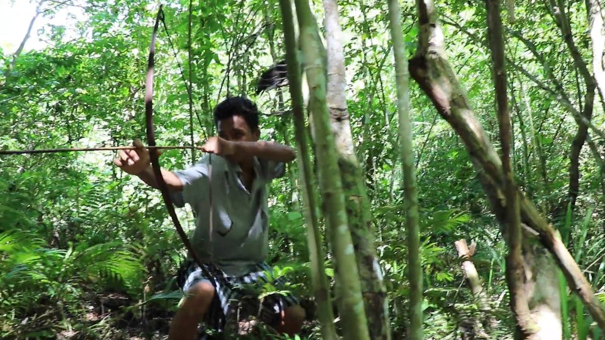 Hunting Videos, Download The BEST Free 4k Stock Video Footage & Hunting ...