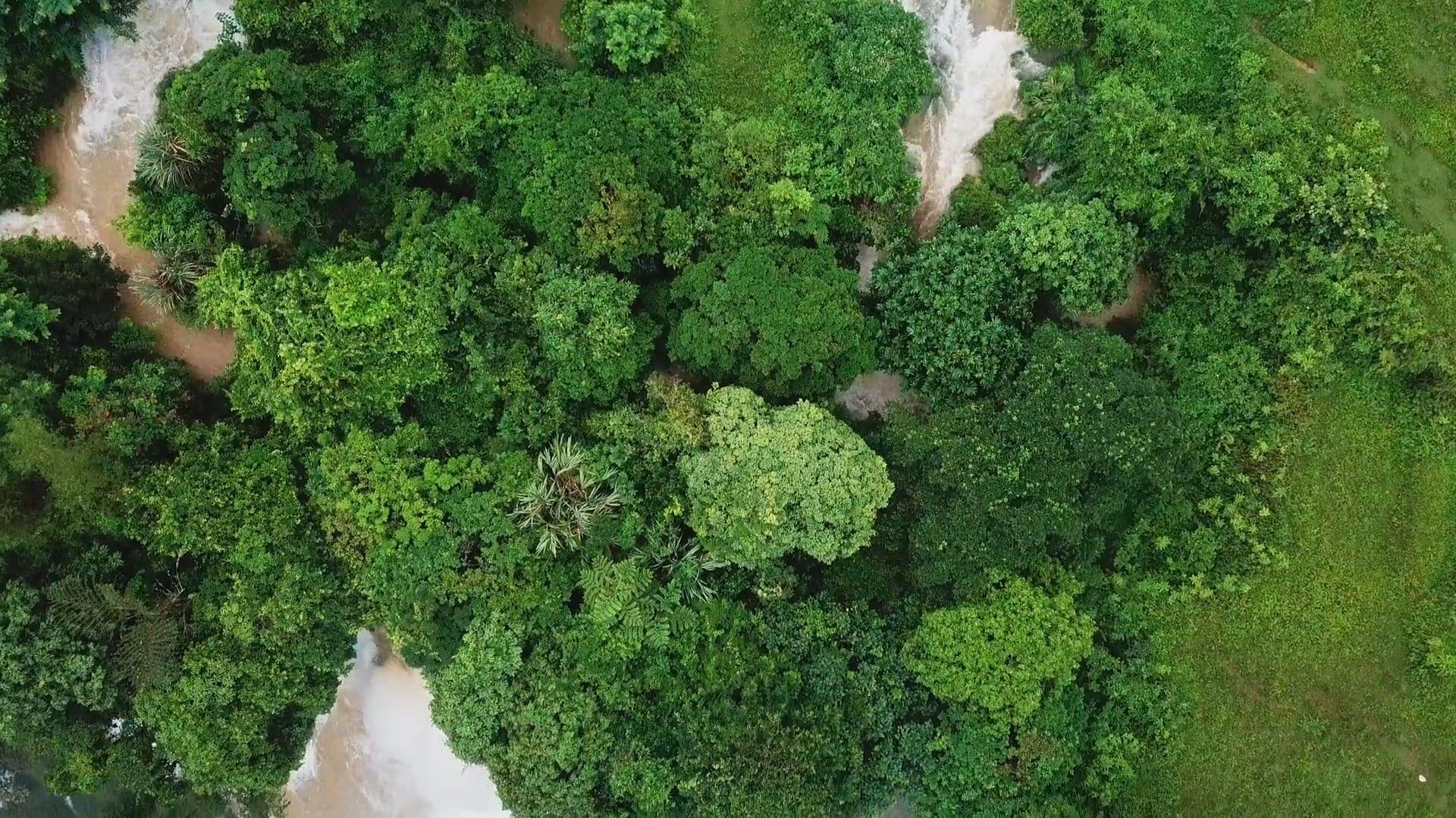 Top View Footage Of The Forest And Waterfalls Free Stock Video Footage ...