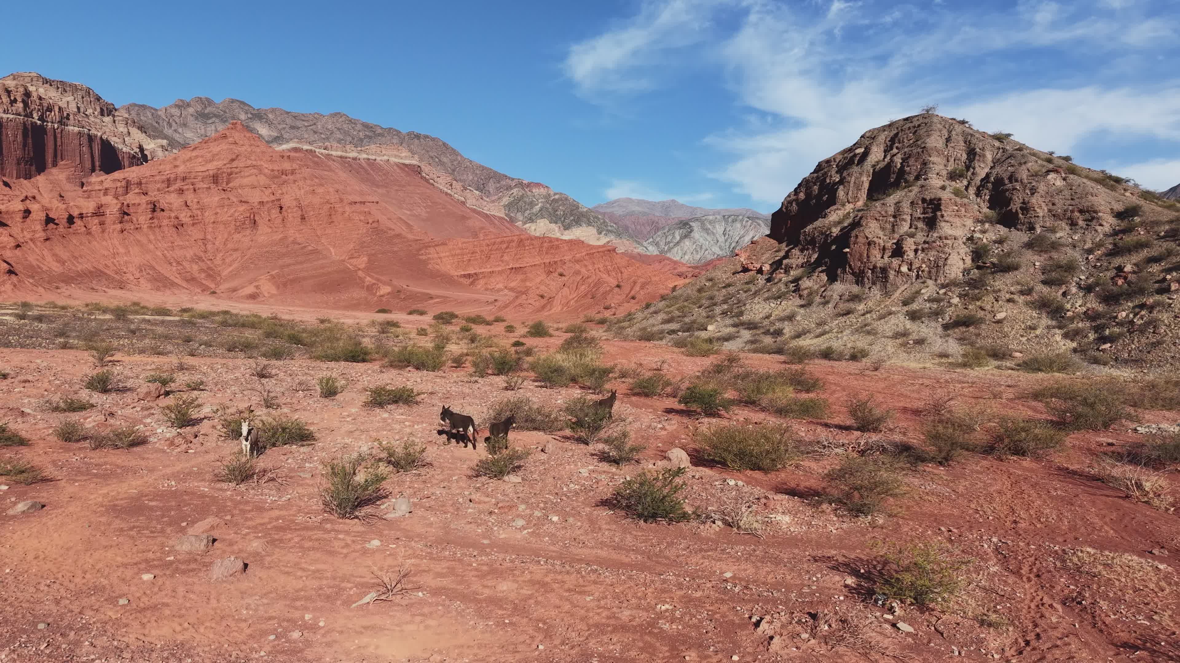 Impresionante Paisaje De Cañón Con Cabras Pastando. · Vídeo de stock ...