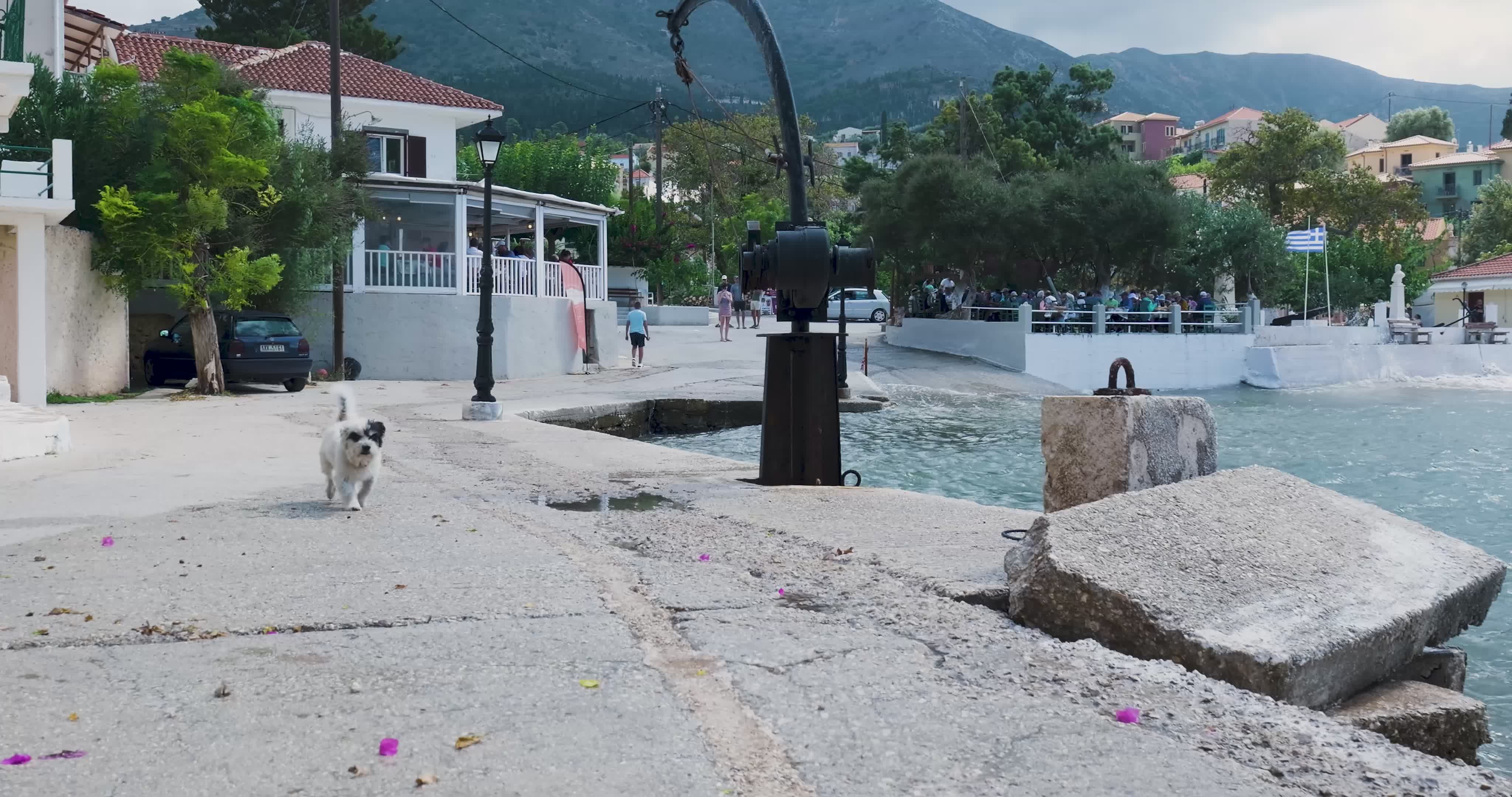 Promenade Dans Une Ville Côtière Avec Un Chien énergique · Vidéo gratuite