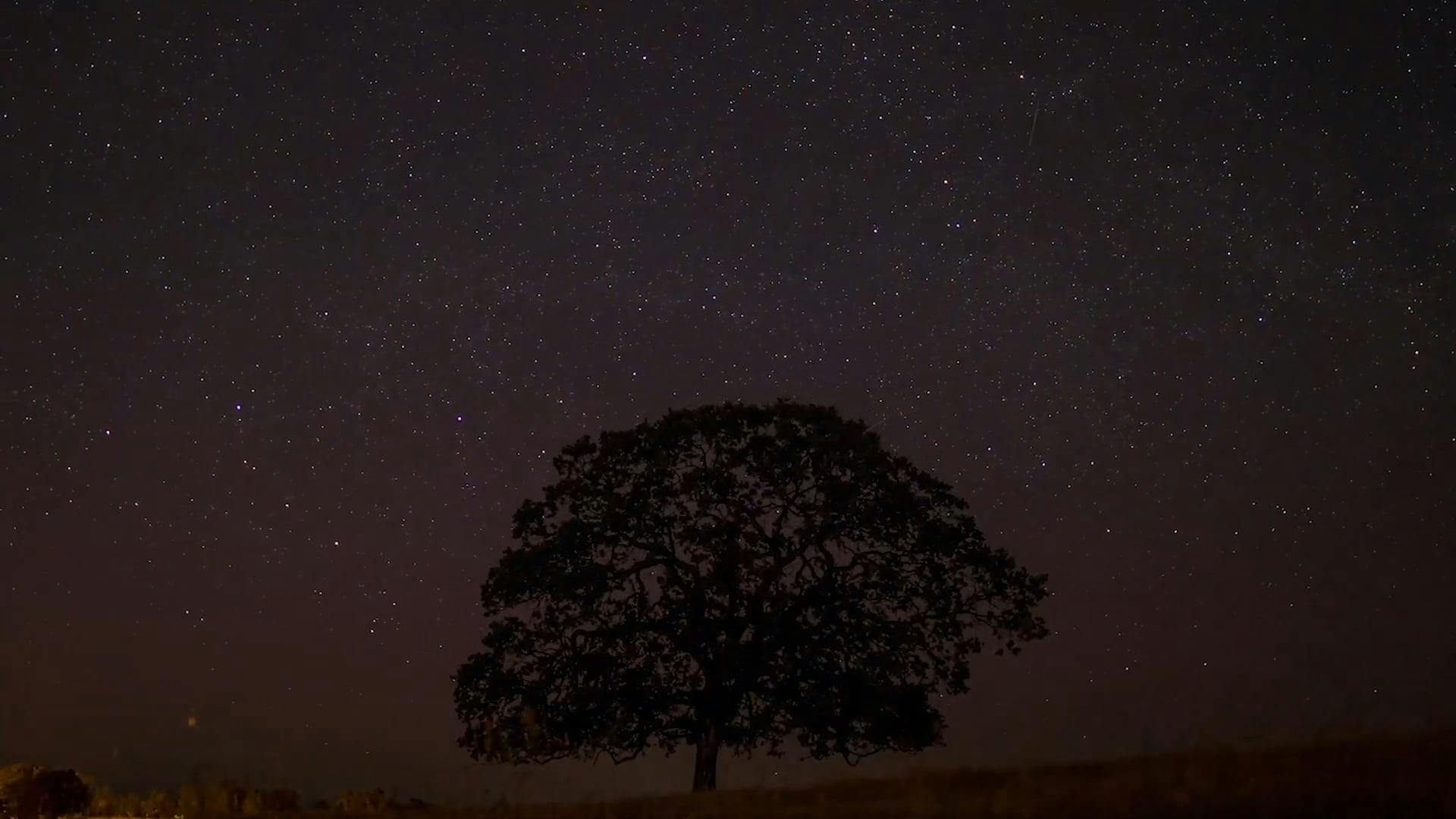 Time Lapse of the Night Sky Free Stock Video Footage, Royalty-Free 4K ...