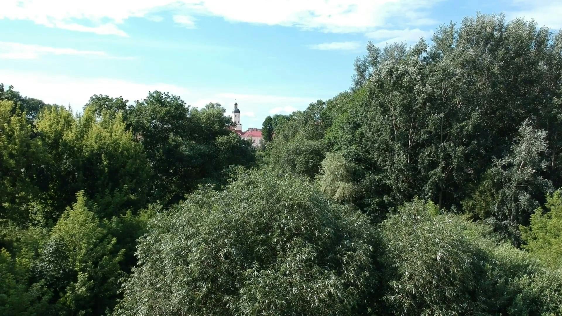 Residential Area Just Outside Of The City Proper Free Stock Video ...