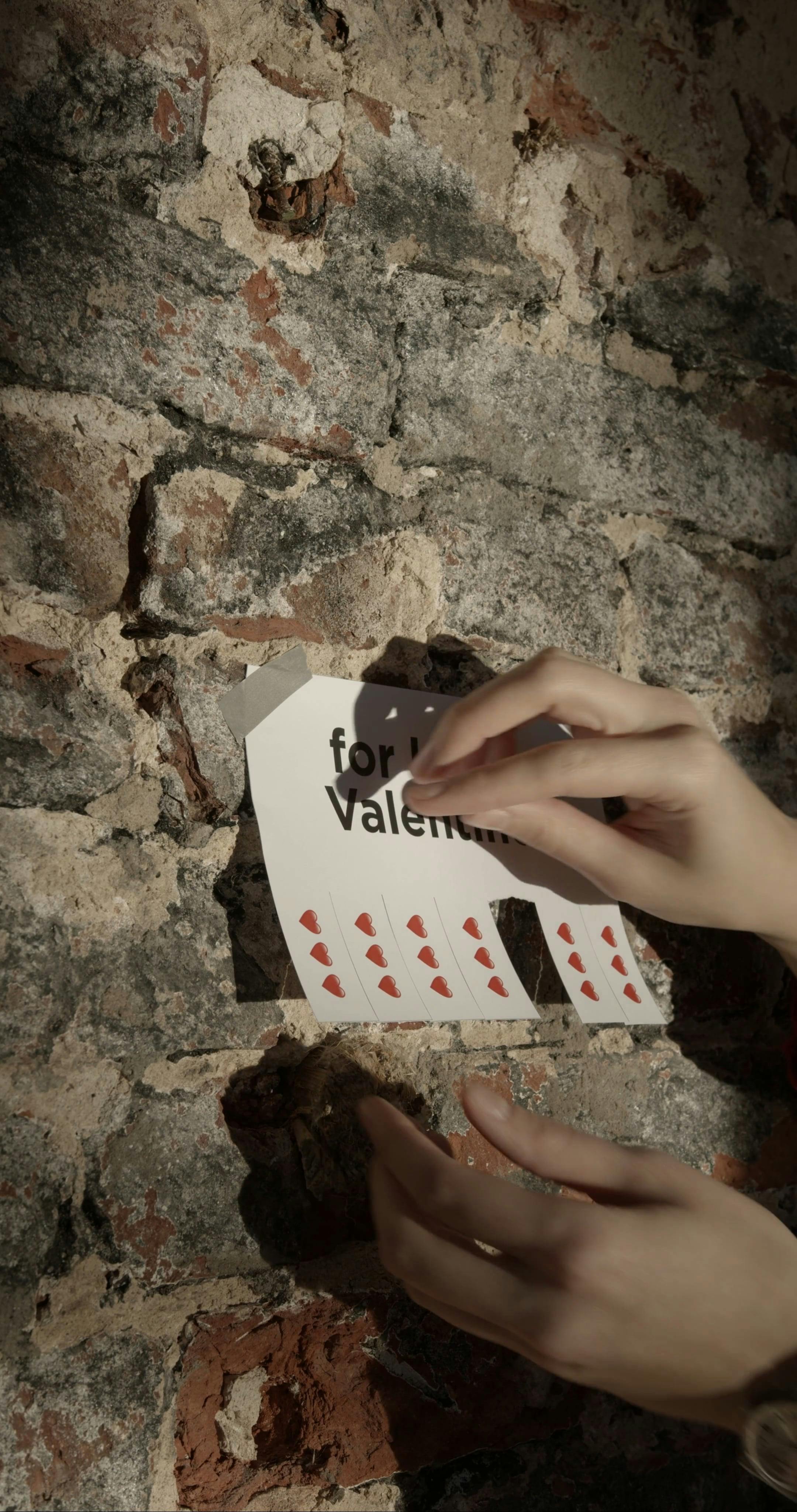 Single Brick Videos, Download The BEST Free 4k Stock Video Footage ...