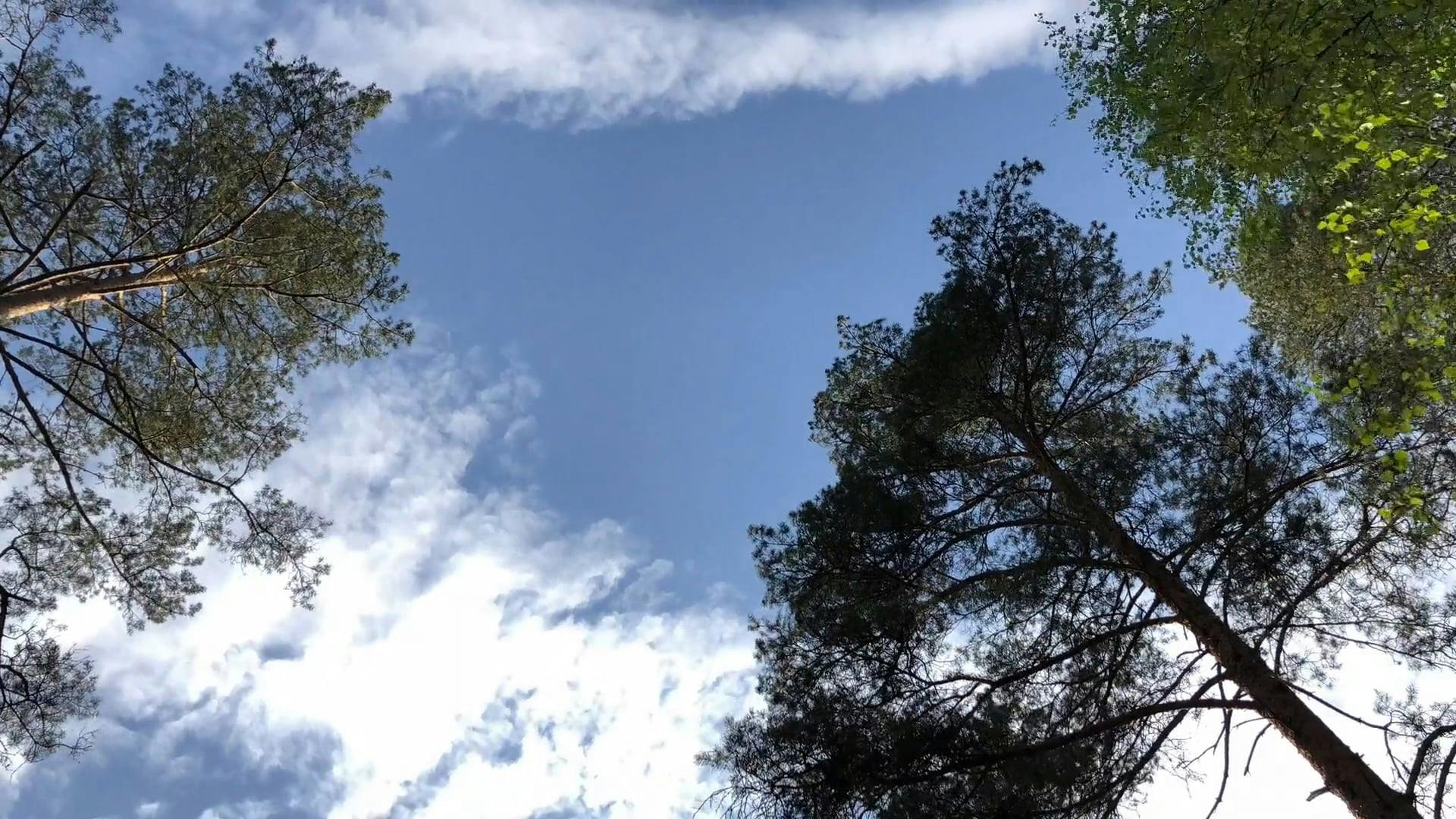 Sky Worm View Videos, Download The BEST Free 4k Stock Video Footage ...