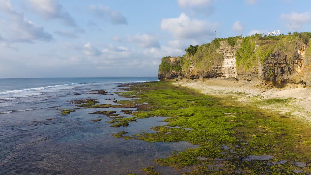 Bali Beach Videos, Download The BEST Free 4k Stock Video Footage & Bali ...