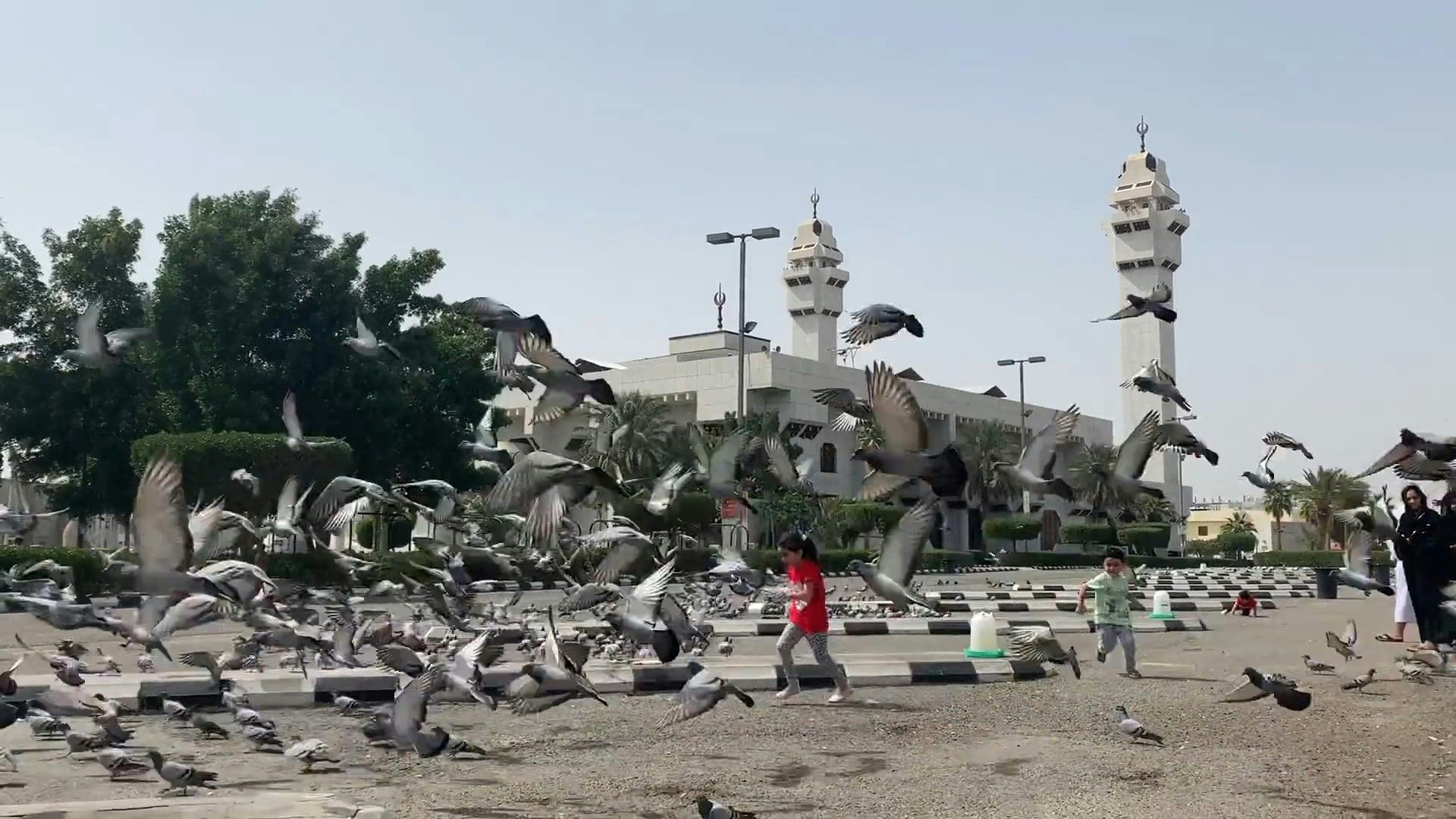 Uae Locals Videos, Download The BEST Free 4k Stock Video Footage & Uae ...