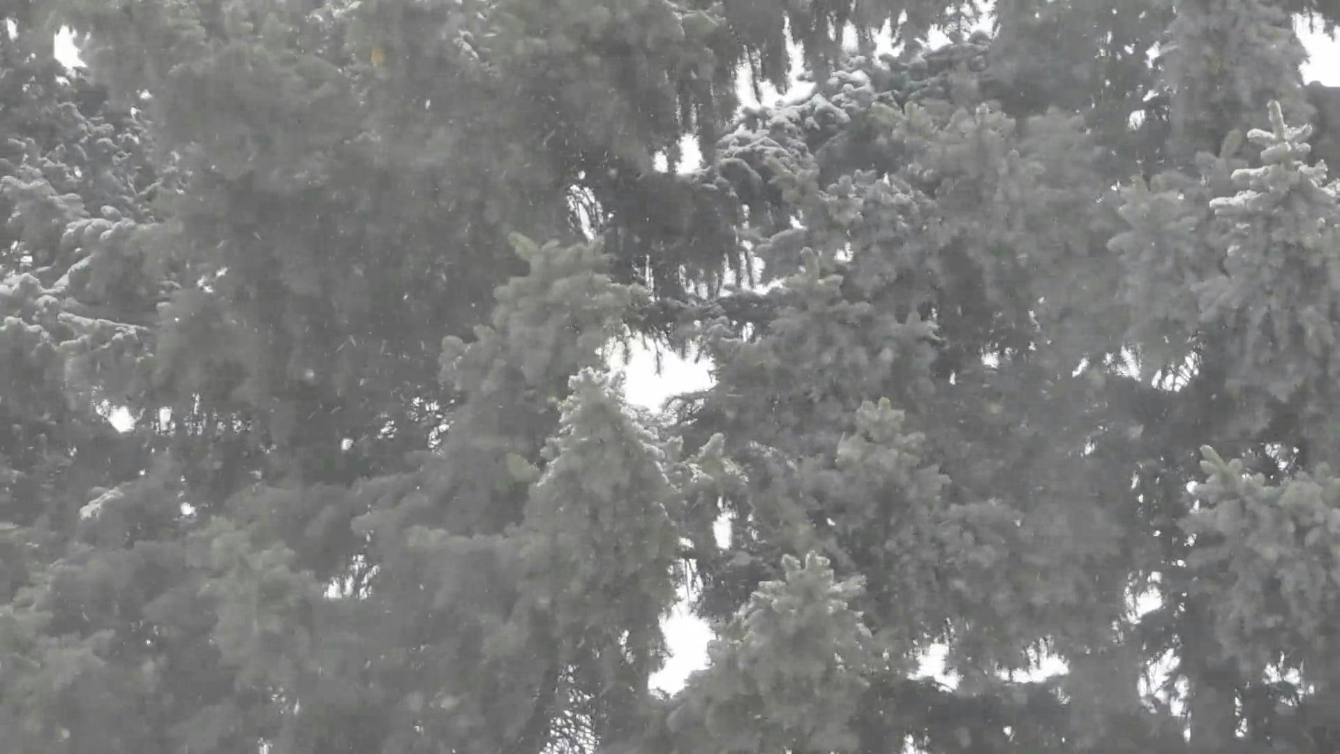 A Heavy Snowfall Free Stock Video Footage, Royalty-Free 4K & HD Video Clip