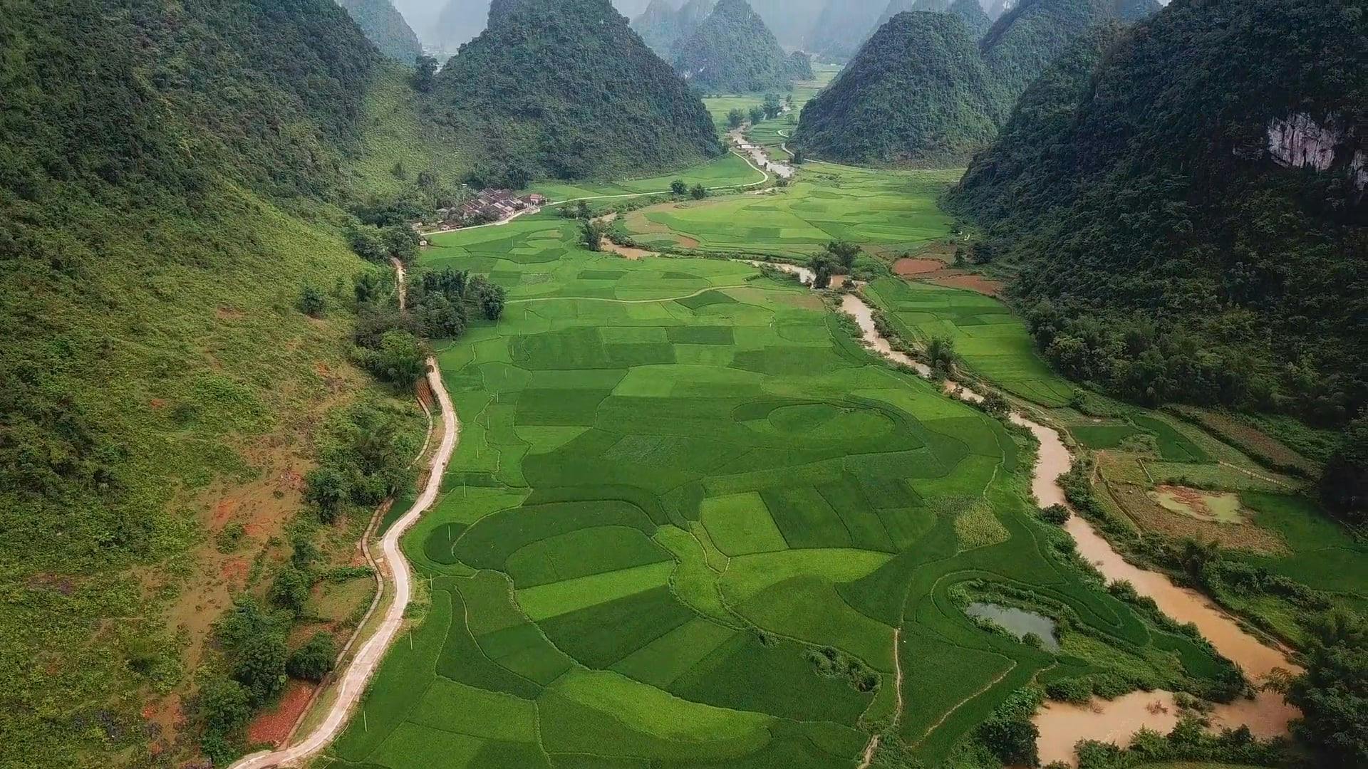 10,000+ Best Vietnam Landscape Videos · 100% Free Download · Pexels ...