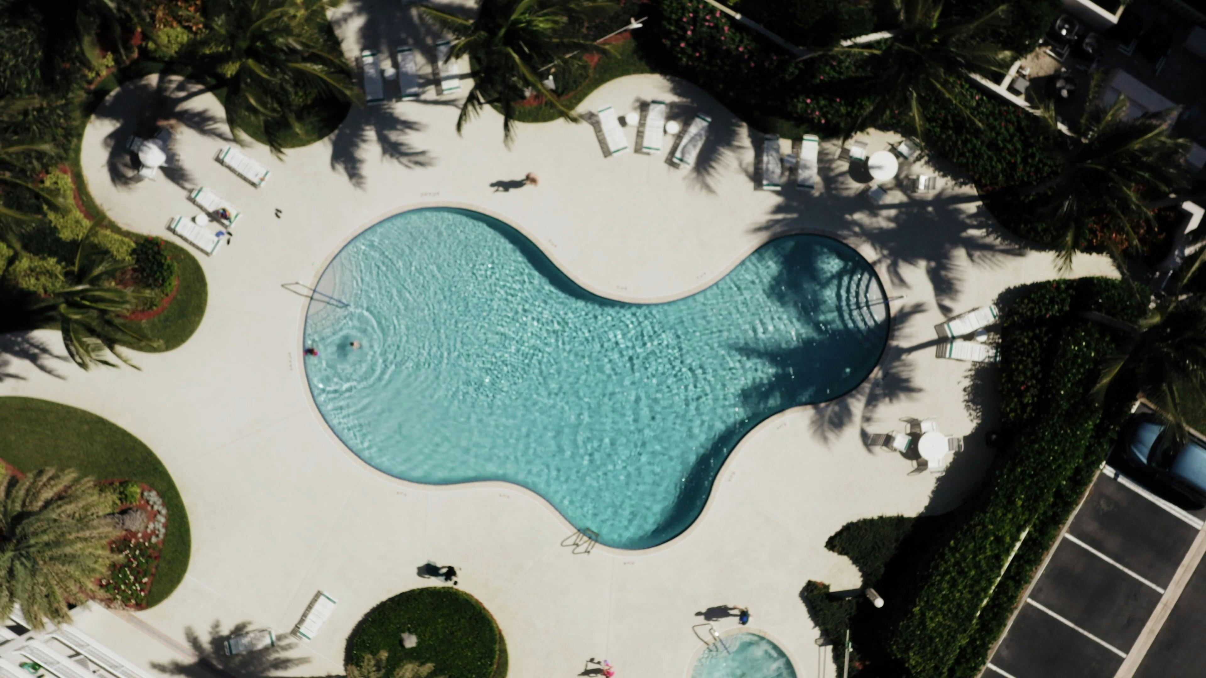 Aerial Shot of a Swimming Pool · Free Stock Video