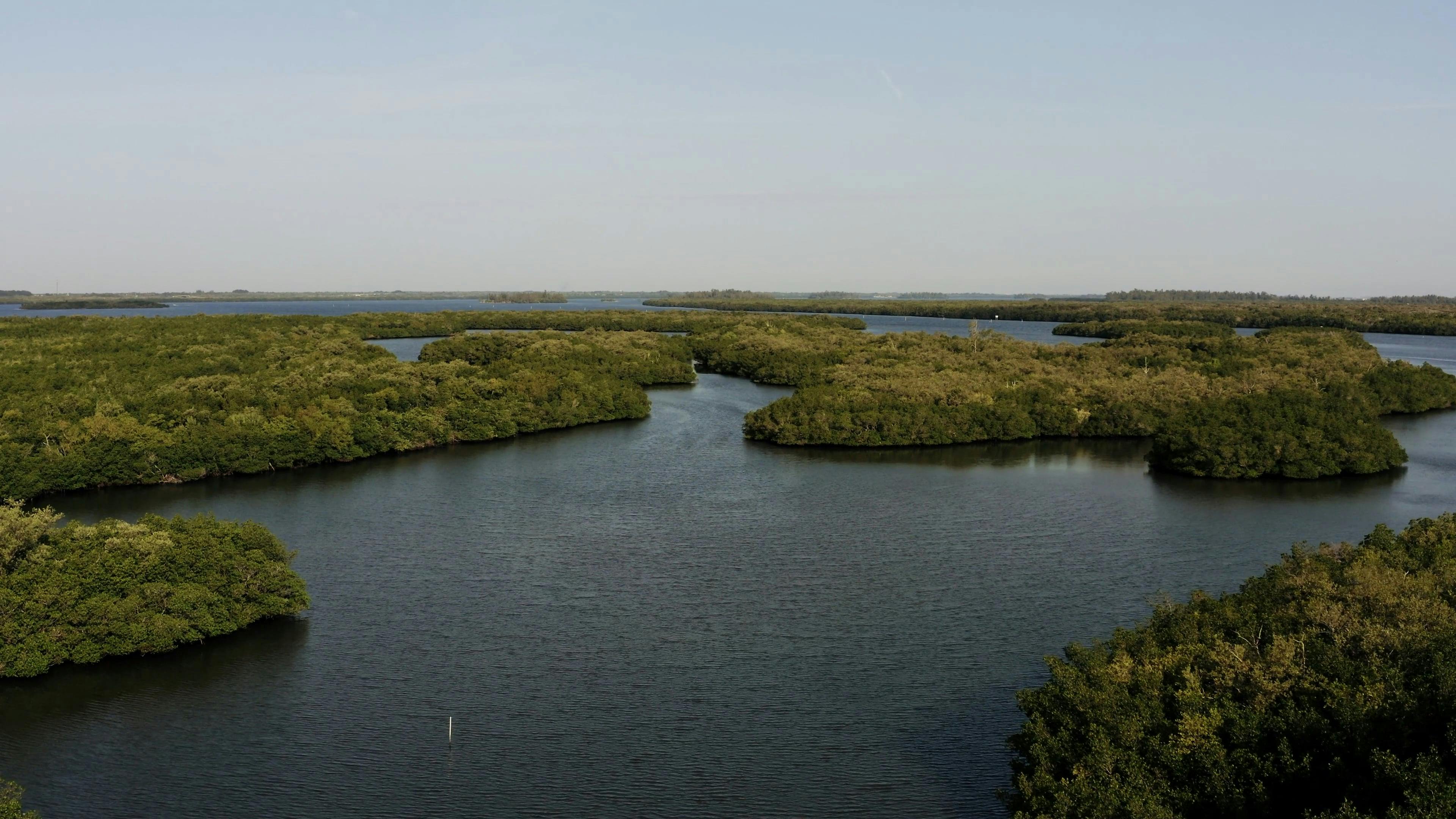 Drone Footage Of The Lake · Free Stock Video