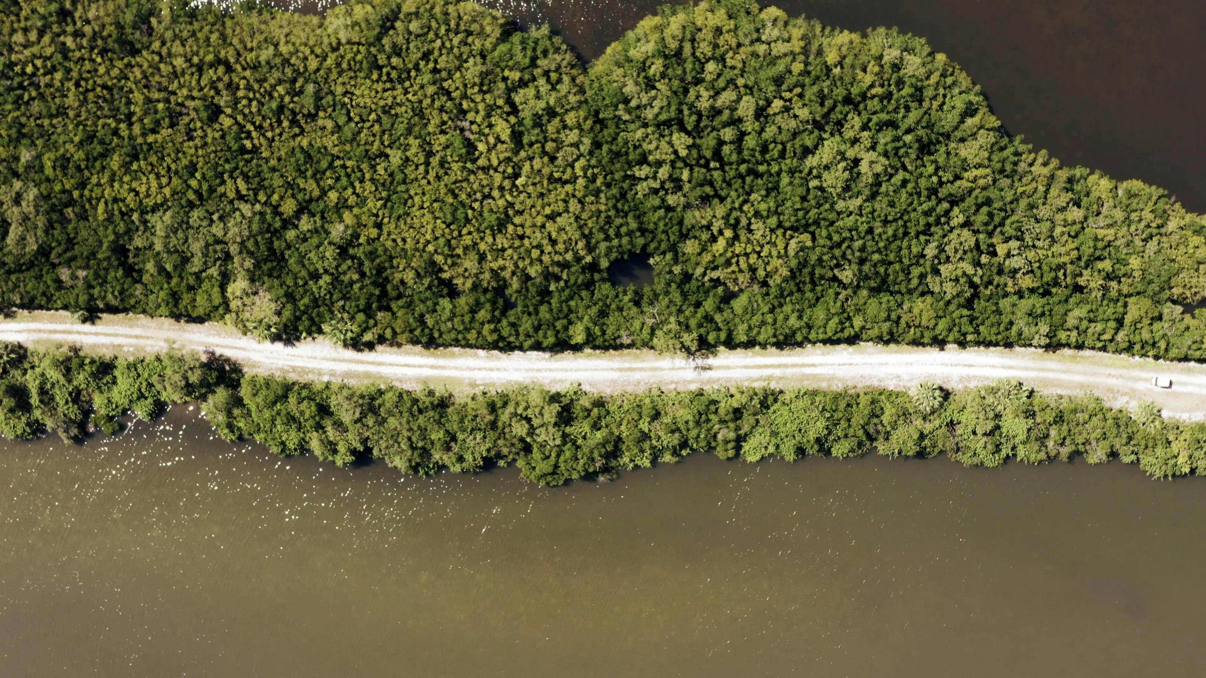 Birds-eye View Of A Road On A Lake Swamp · Free Stock Video