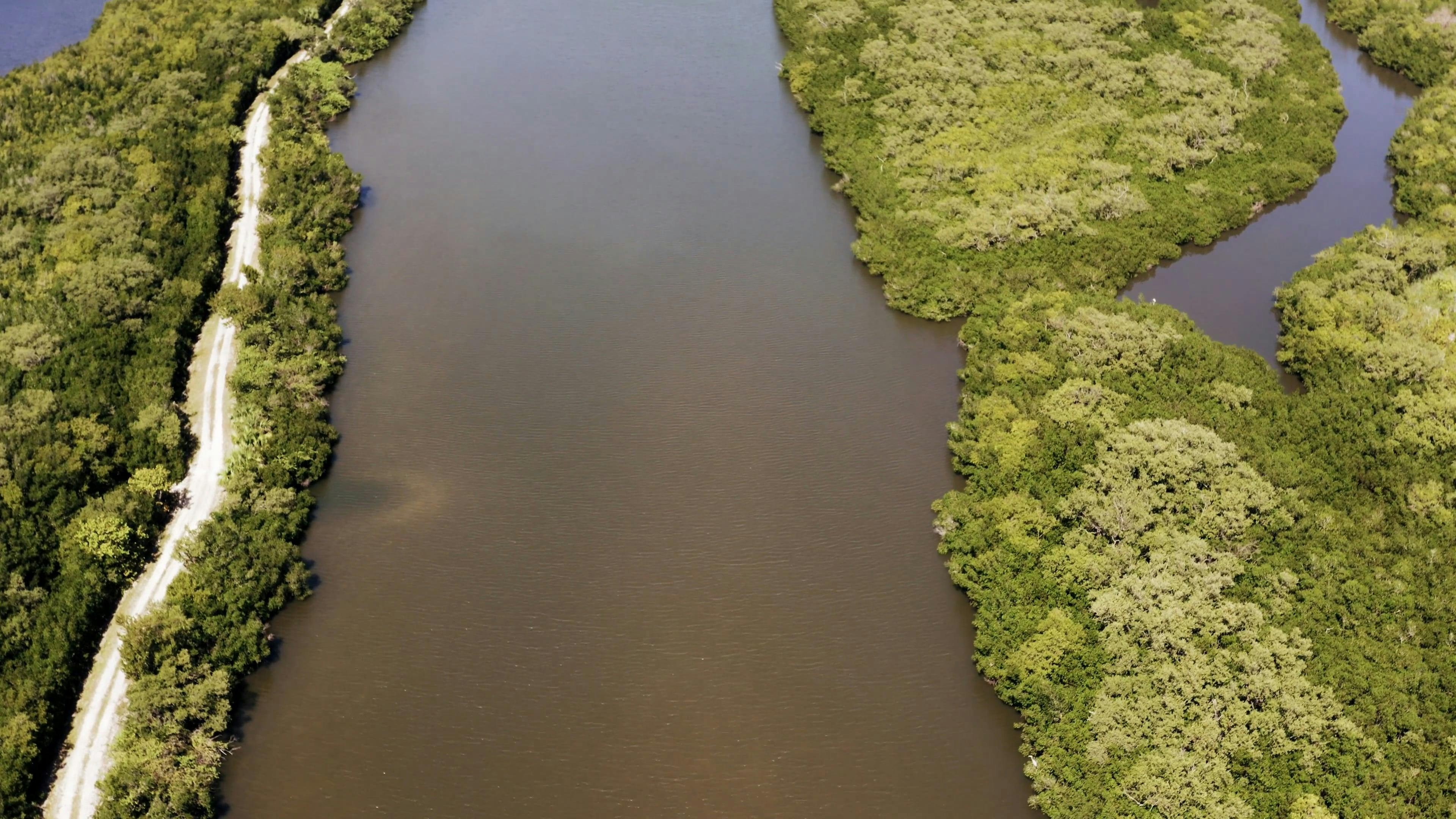 Drone Shot of a River · Free Stock Video