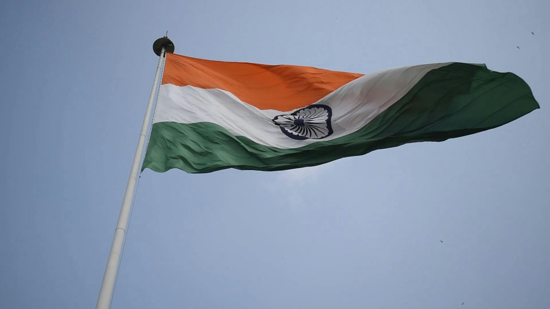 The Flag Of India · Free Stock Video