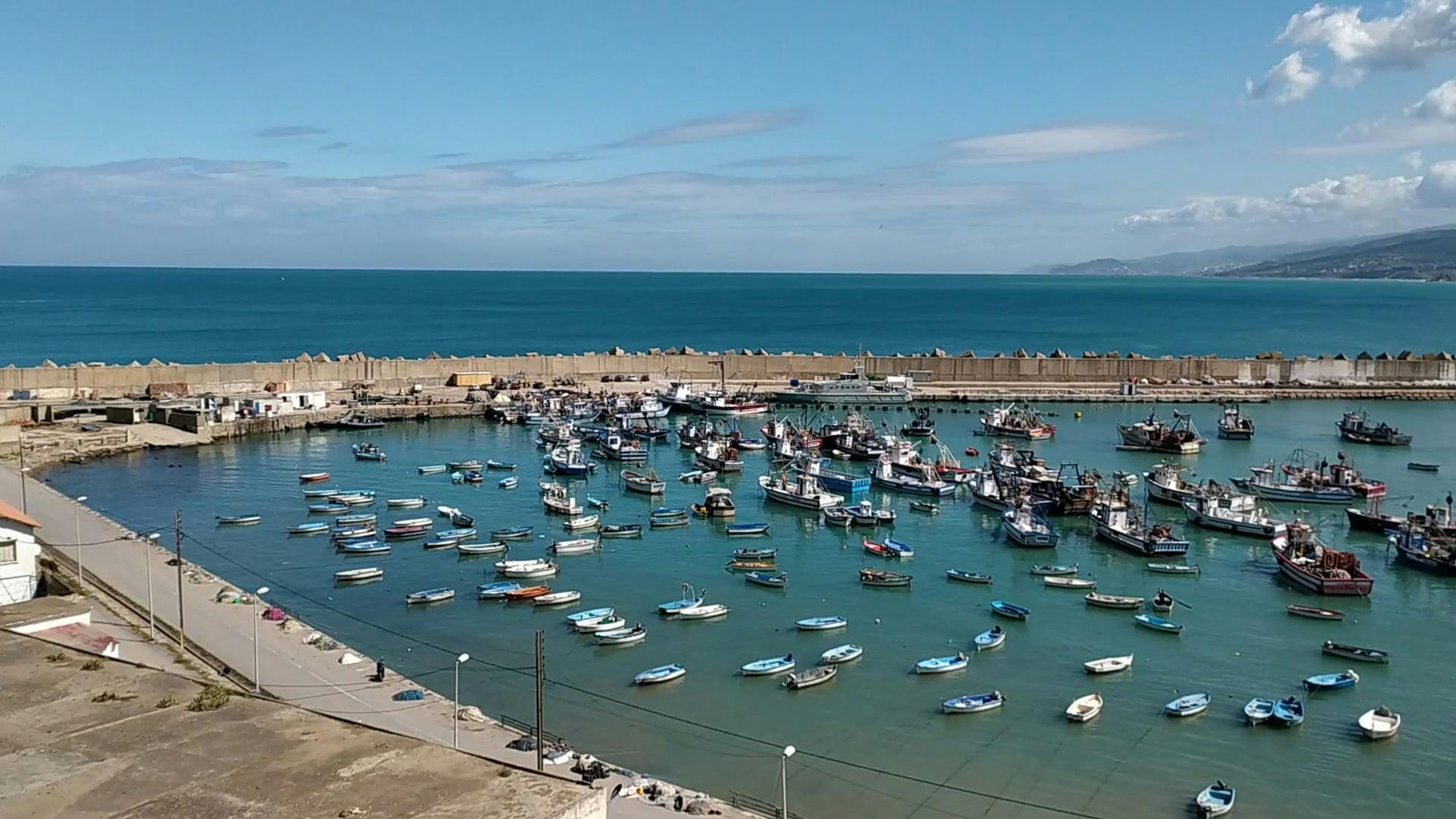 Aerial View Of A Port Area Near A Town · Free Stock Video