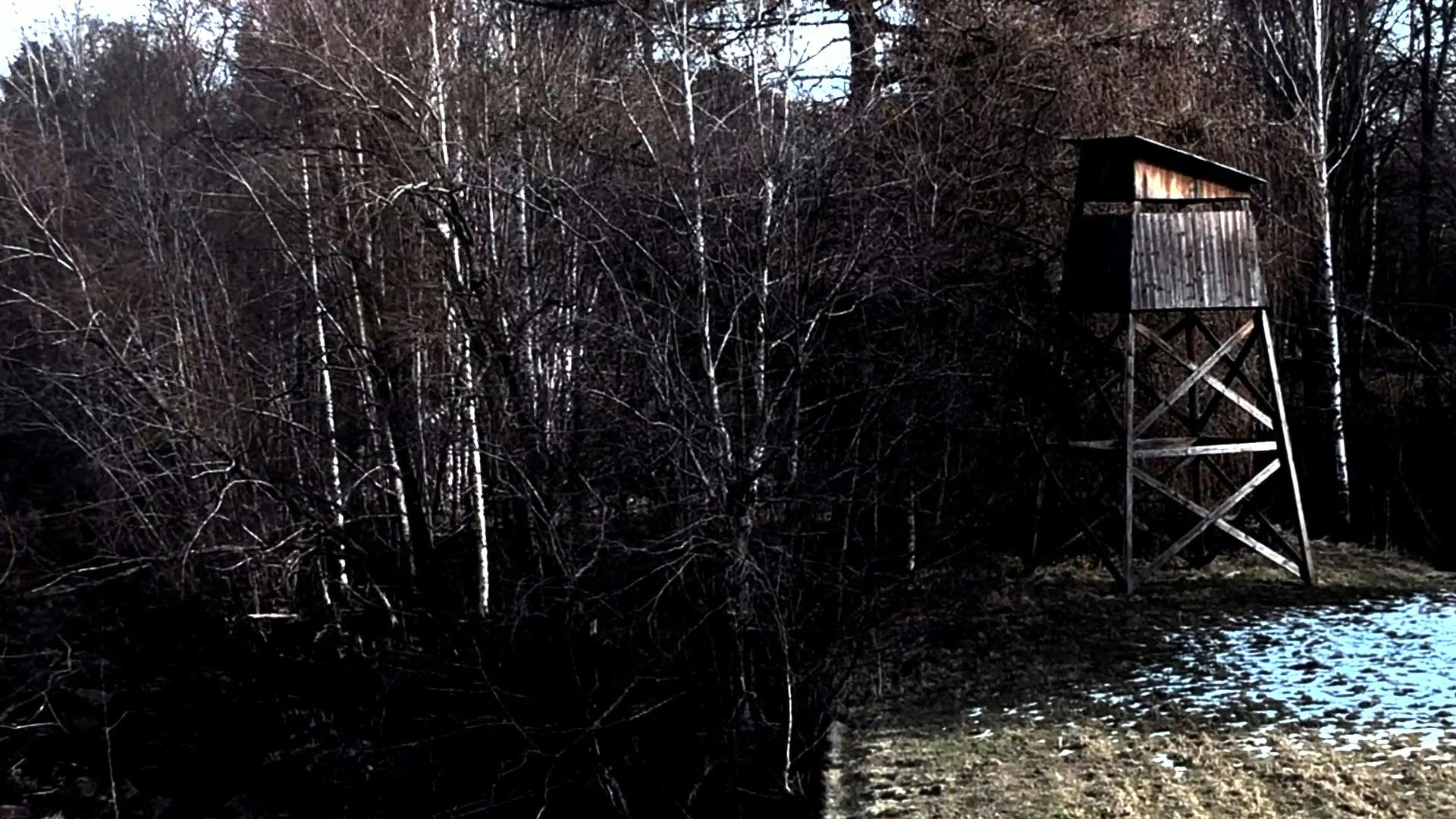 Watchtower On A Deserted Land Free Stock Video Footage, Royalty-Free 4K ...