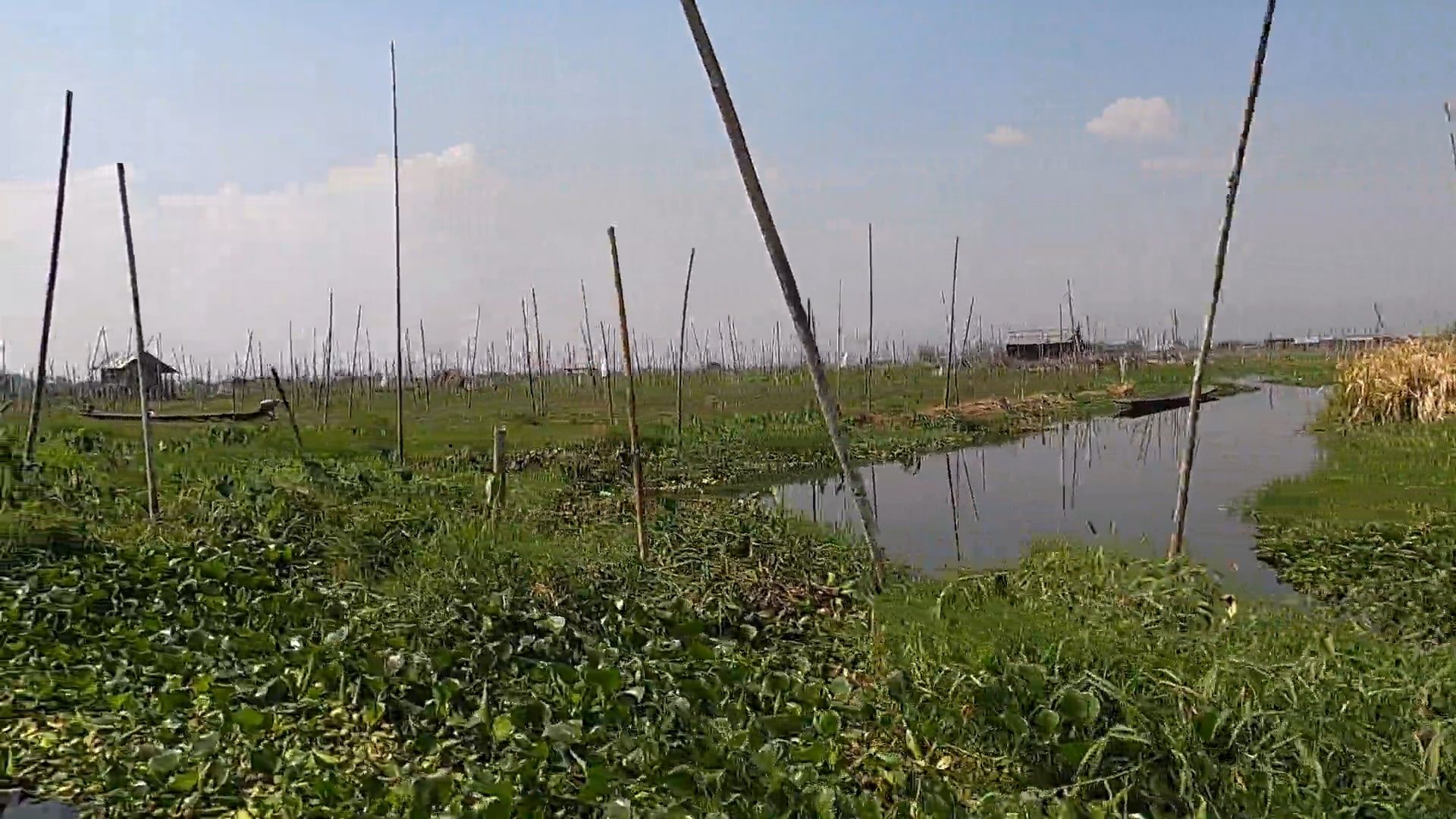 Floating Plantation in Myanmar Free Stock Video Footage, Royalty-Free ...