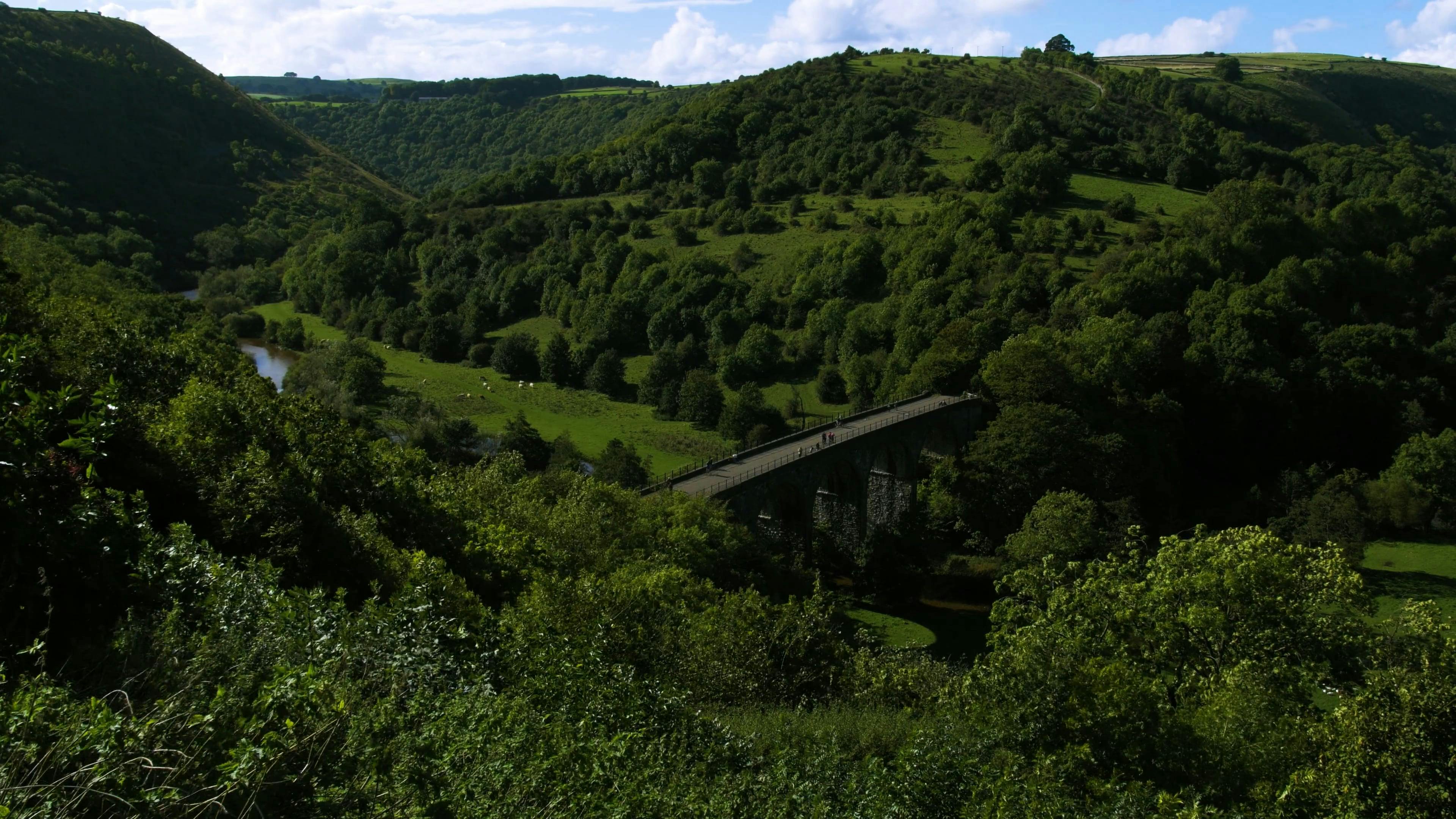 A Valley Covered with Trees · Free Stock Video