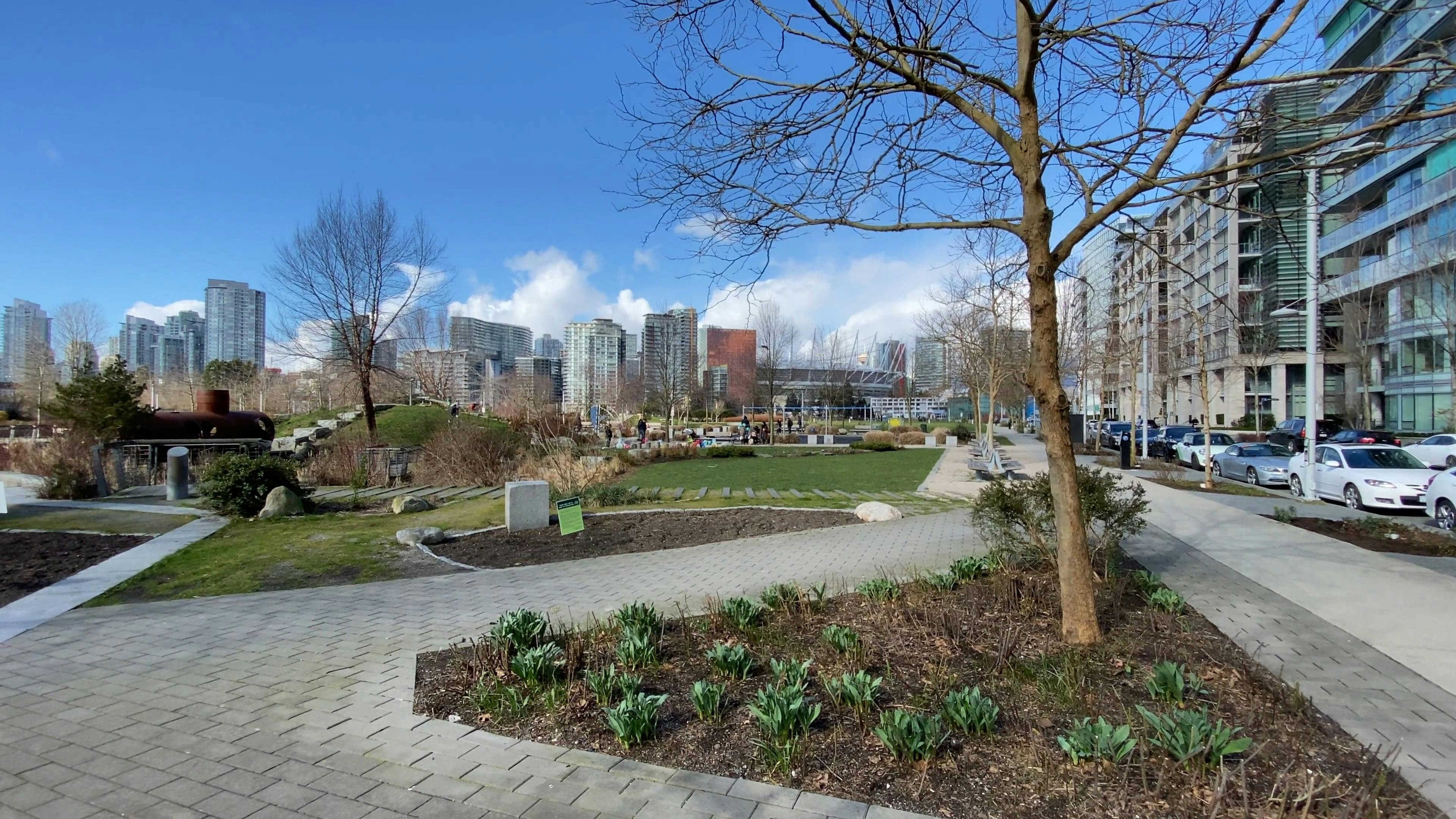 Trees in the Park · Free Stock Video