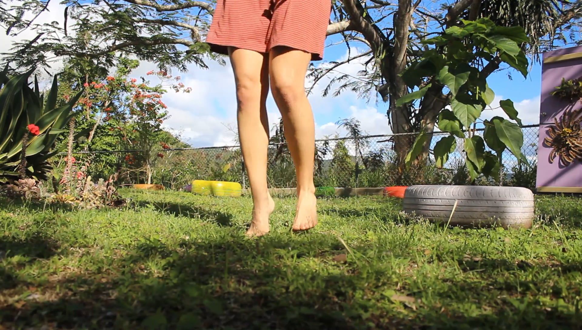 A Woman Dancing Ballet on the Grass · Free Stock Video