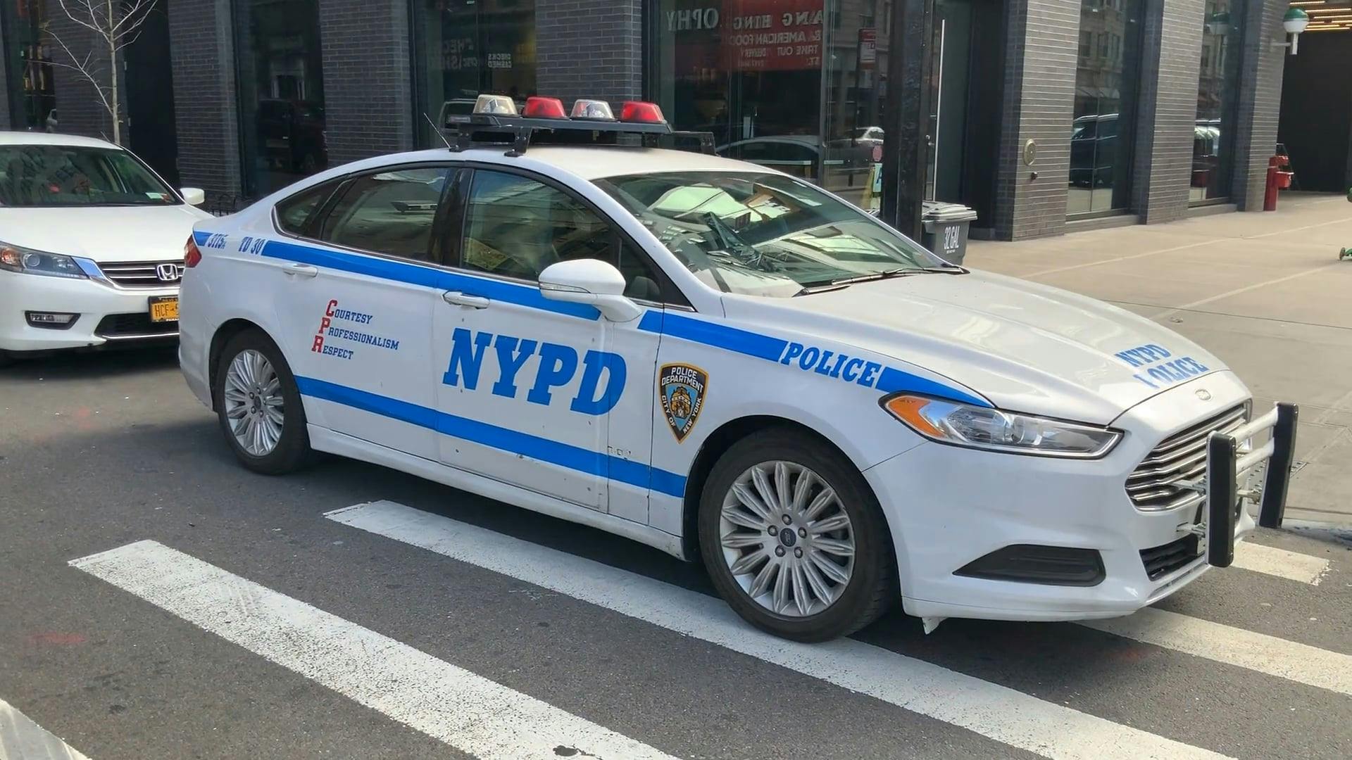 Police Road Block Free Stock Video Footage, Royalty-Free 4K & HD Video Clip