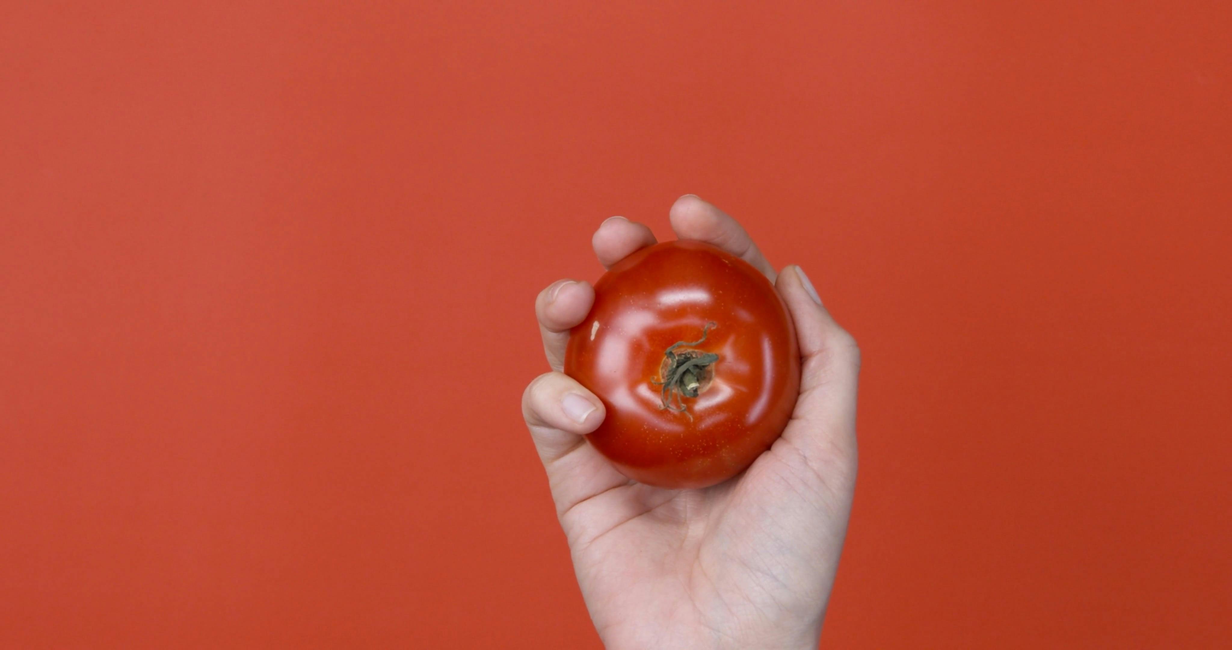 Farmer Model Videos, Download The BEST Free 4k Stock Video Footage ...