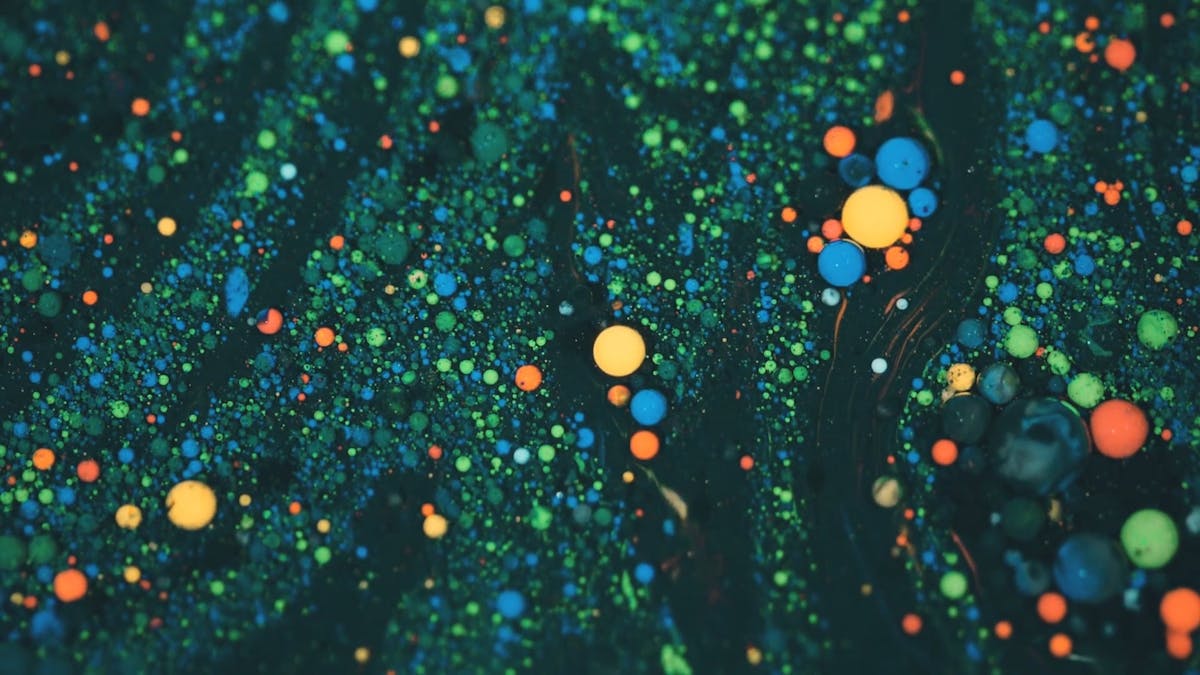 Colours Videos, Download The BEST Free 4k Stock Video Footage & Colours ...