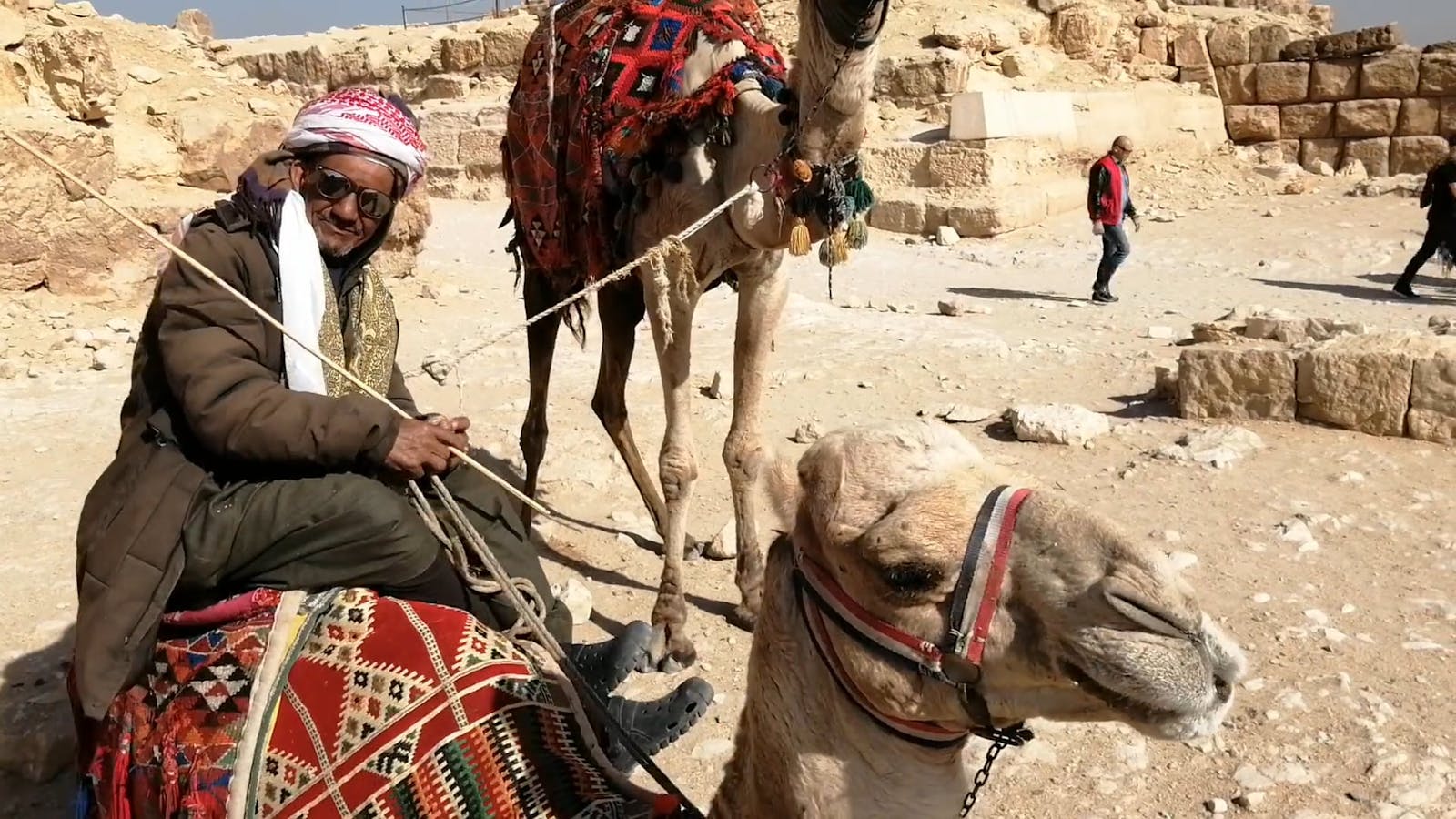 Camels Videos, Download The BEST Free 4k Stock Video Footage & Camels ...