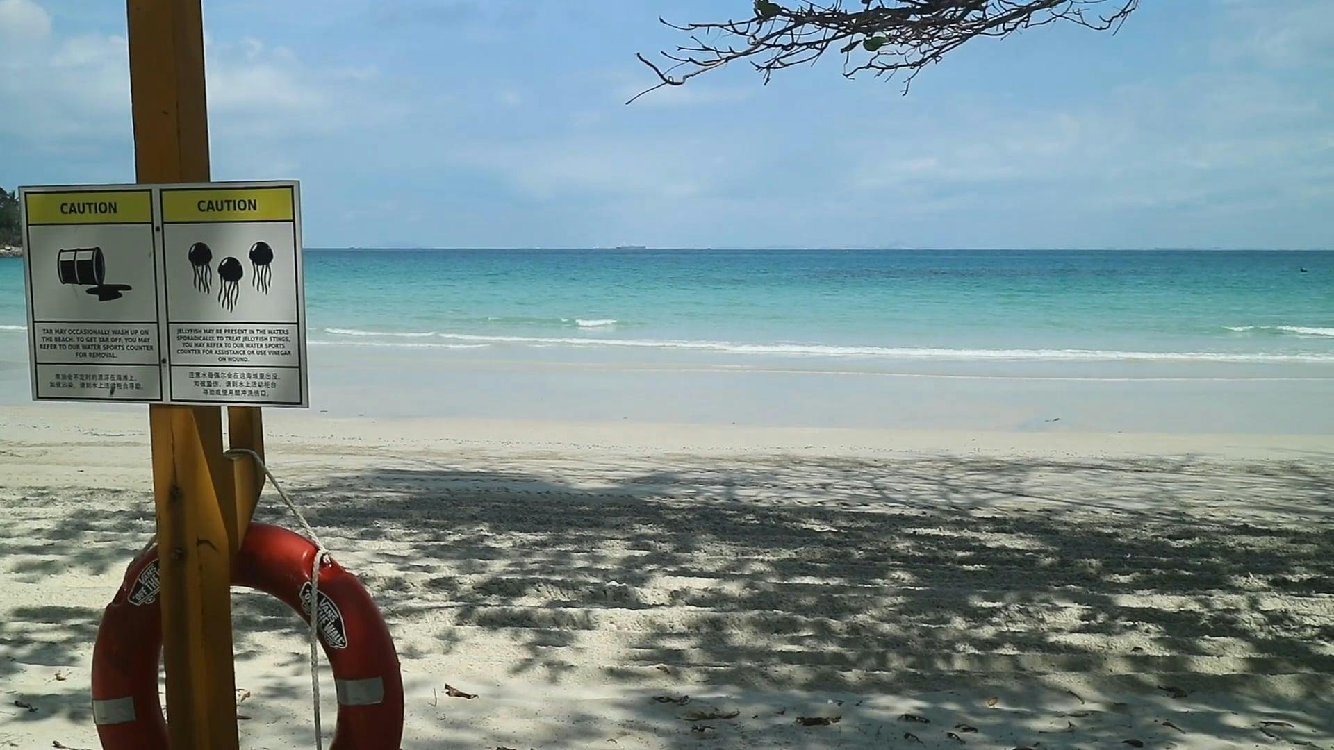 Beach Vibes Videos, Download The BEST Free 4k Stock Video Footage ...