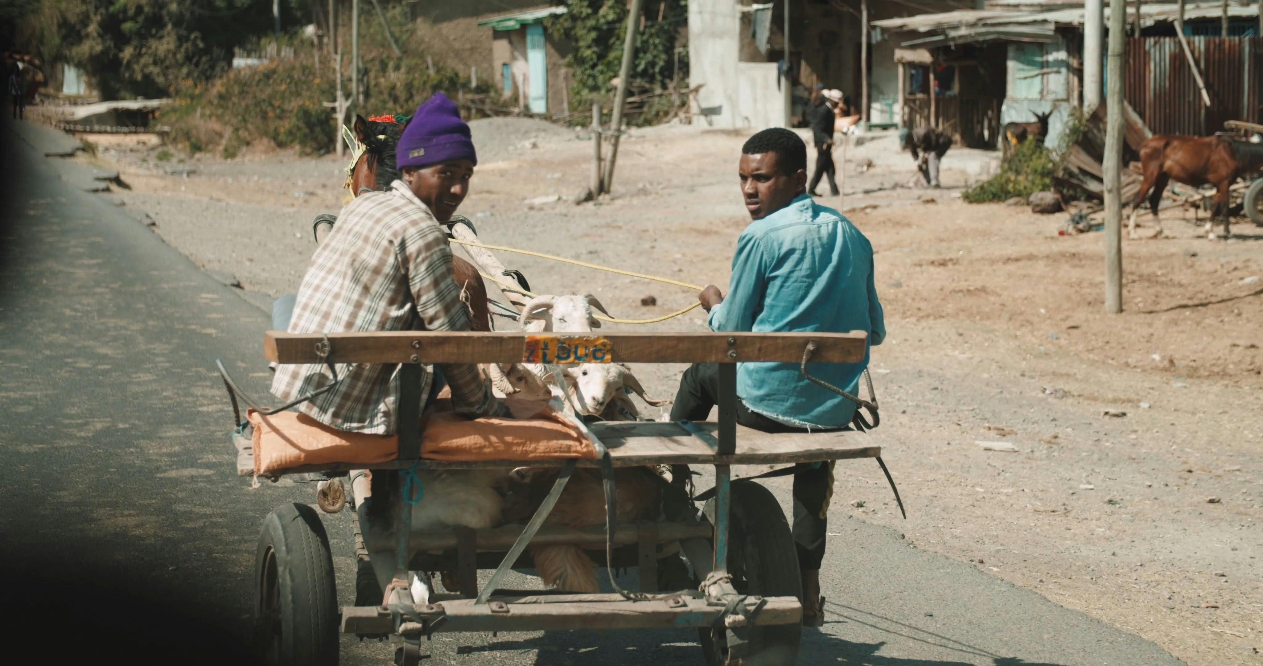 Horse Drawn Carts Videos, Download The BEST Free 4k Stock Video Footage ...