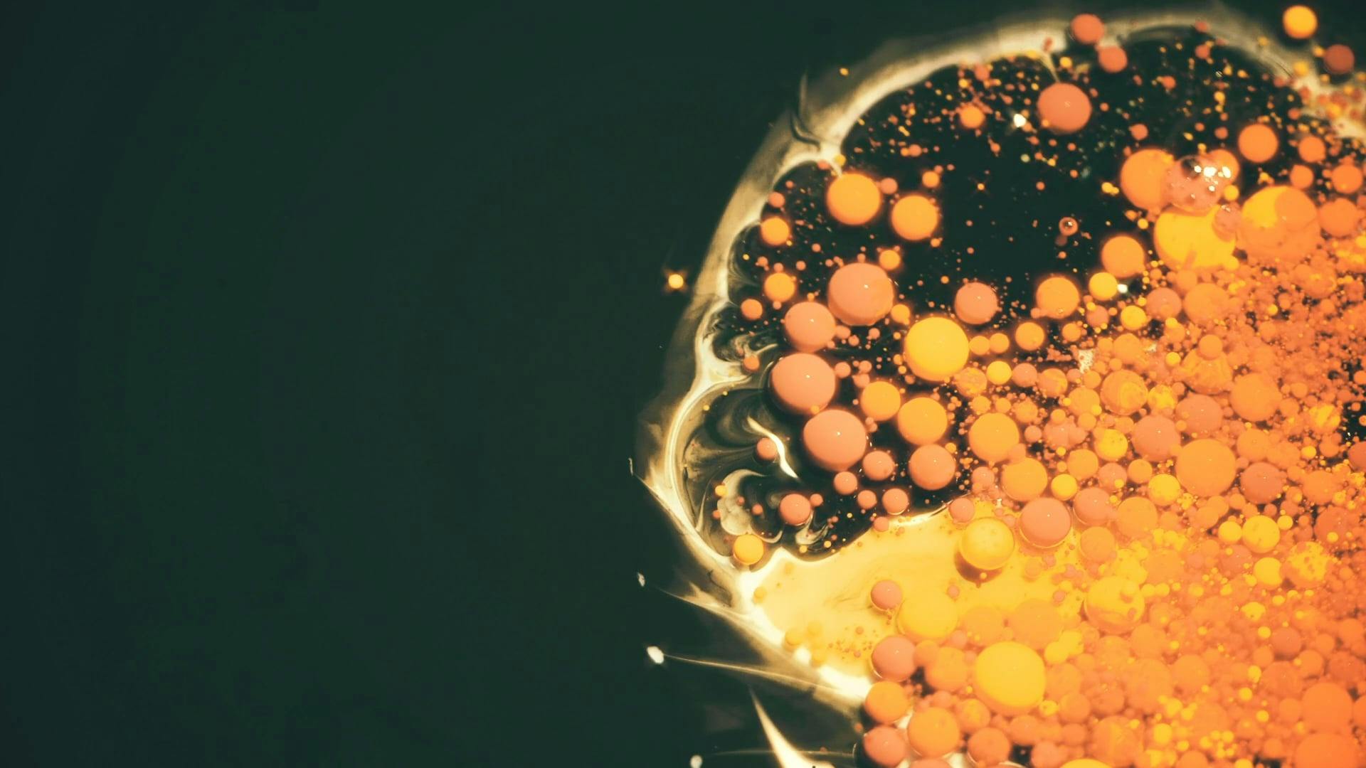 Dissolve Videos, Download The BEST Free 4k Stock Video Footage ...