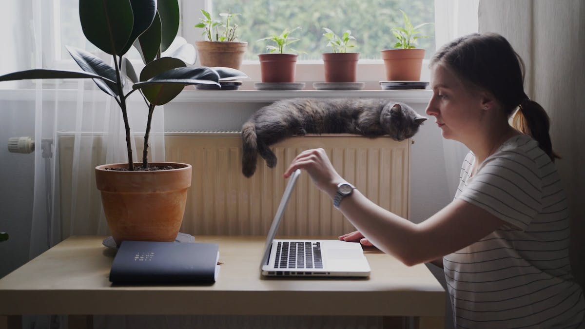 Work From Home Videos, Download The BEST Free 4k Stock Video Footage ...