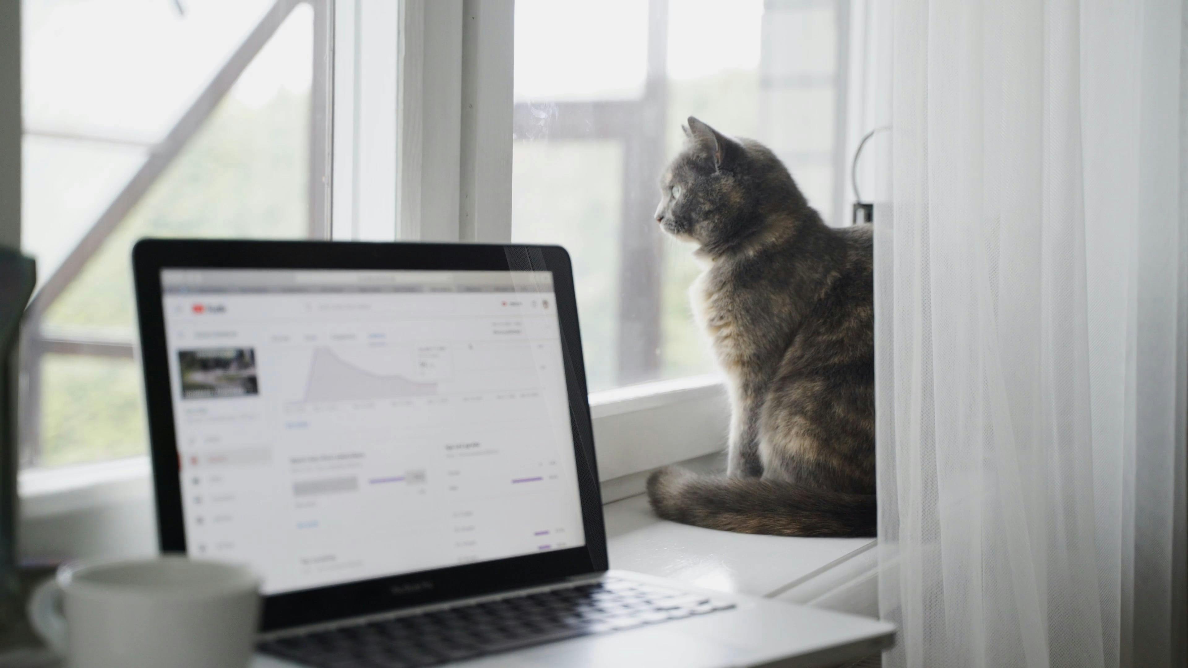 A Laptop Used In A Work From Home Emplyment Free Stock Video Footage ...