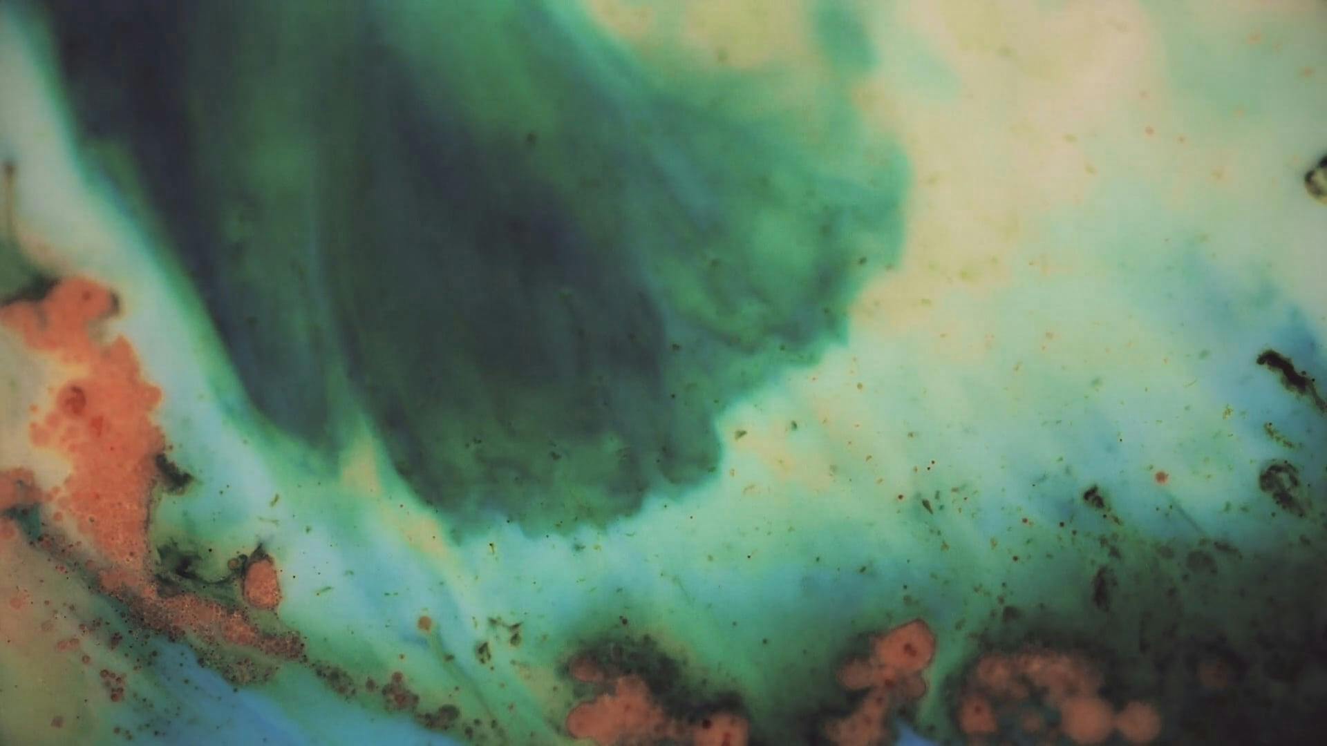 Shocking Expression Green Background Videos, Download The BEST Free 4k ...