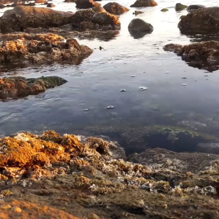 The Ocean View From The Shore Free Stock Video Footage, Royalty-Free 4K ...