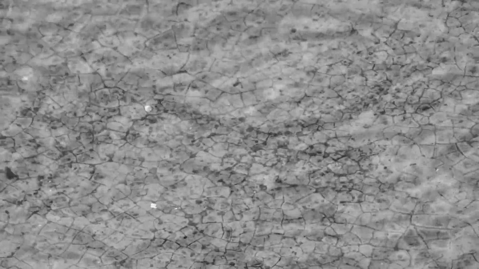 Rain Effect Videos, Download The BEST Free 4k Stock Video Footage ...