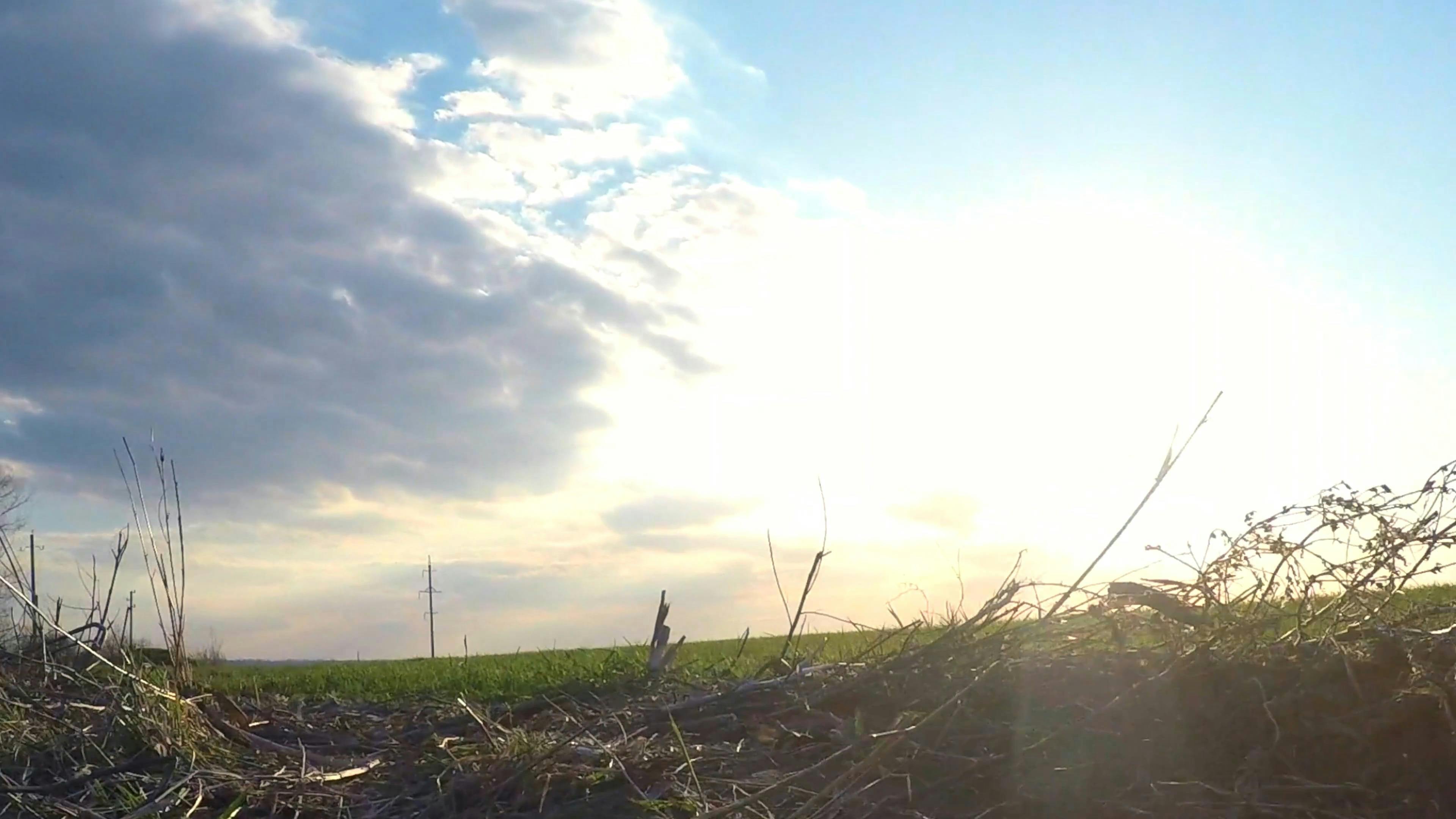 Drone Flying Over A Field Of Grass · Free Stock Video