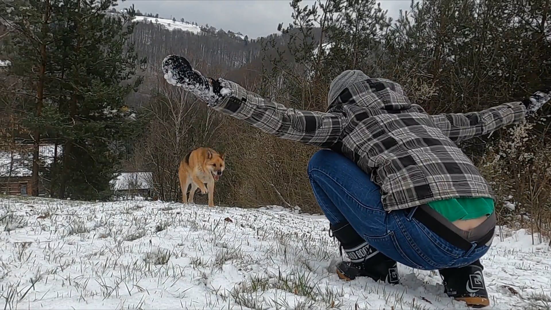 Woman+Gets+Knotted+By+Dog Videos, Download The BEST Free 4k Stock Video ...